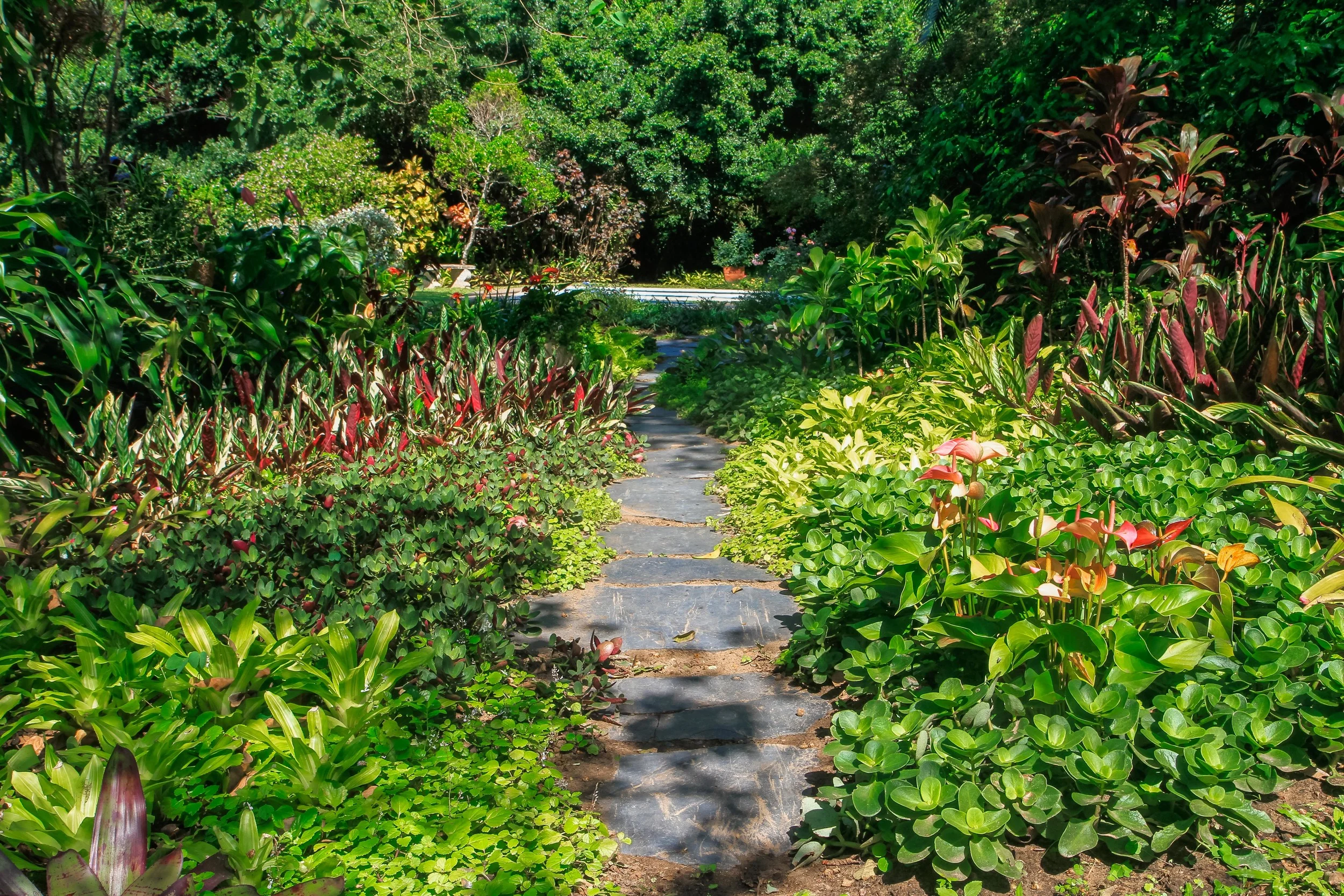 Paving and Pathways — Eco Balance Landscaping Ballito | Garden Services ...