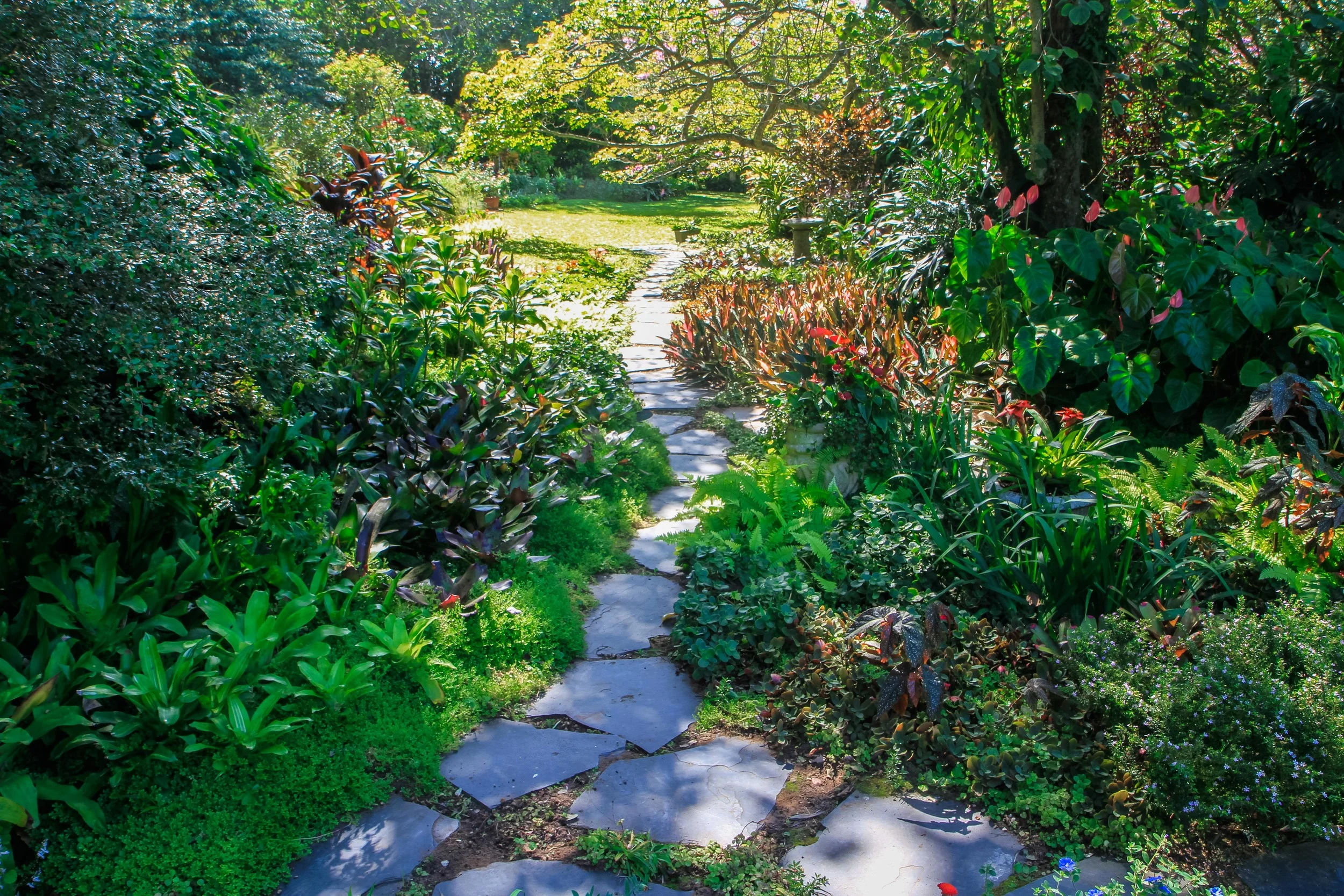 Paving and Pathways — Eco Balance Landscaping Ballito | Garden Services ...