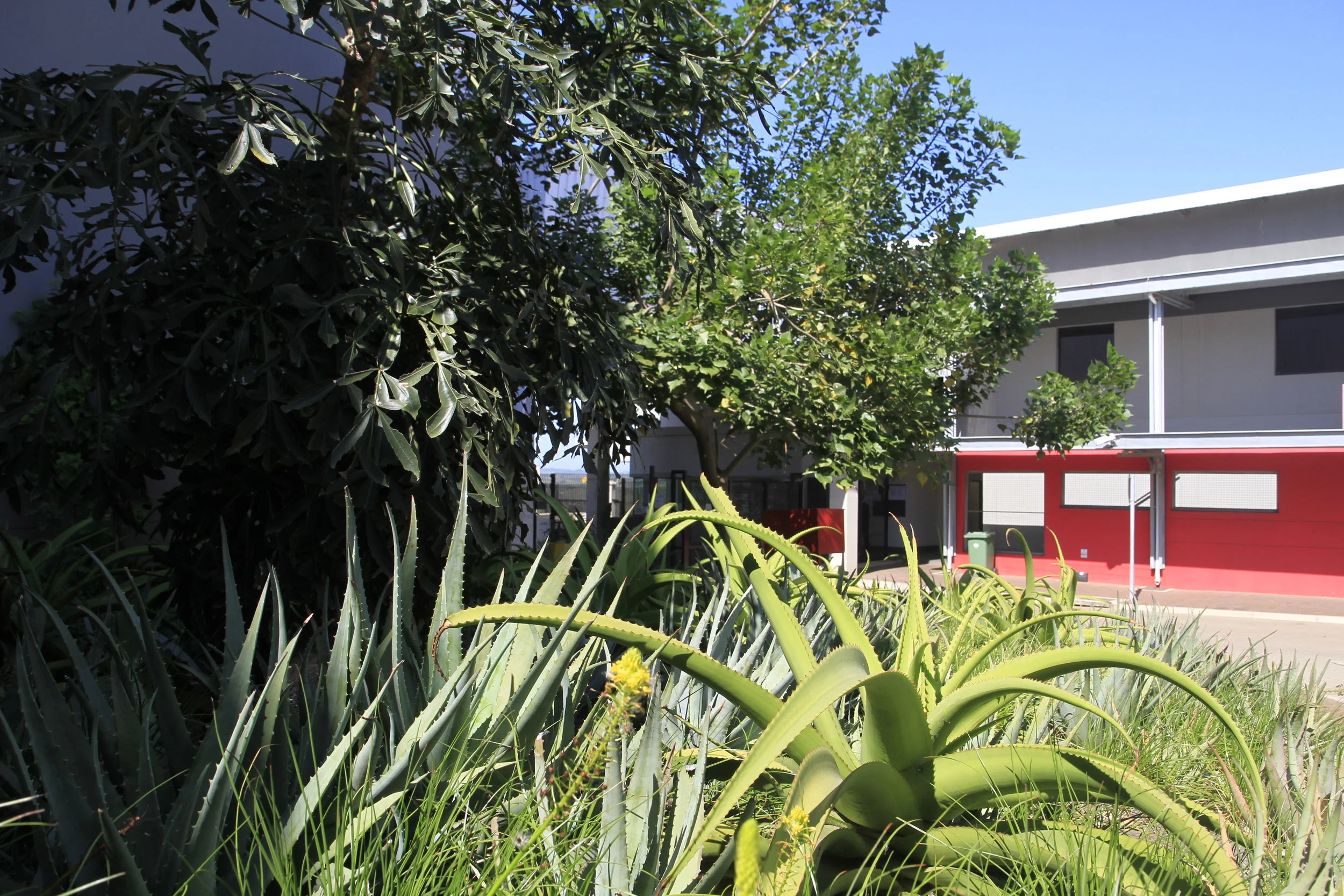 Eco Balance Landscaping Ballito | Garden Services | Irrigation | Paving