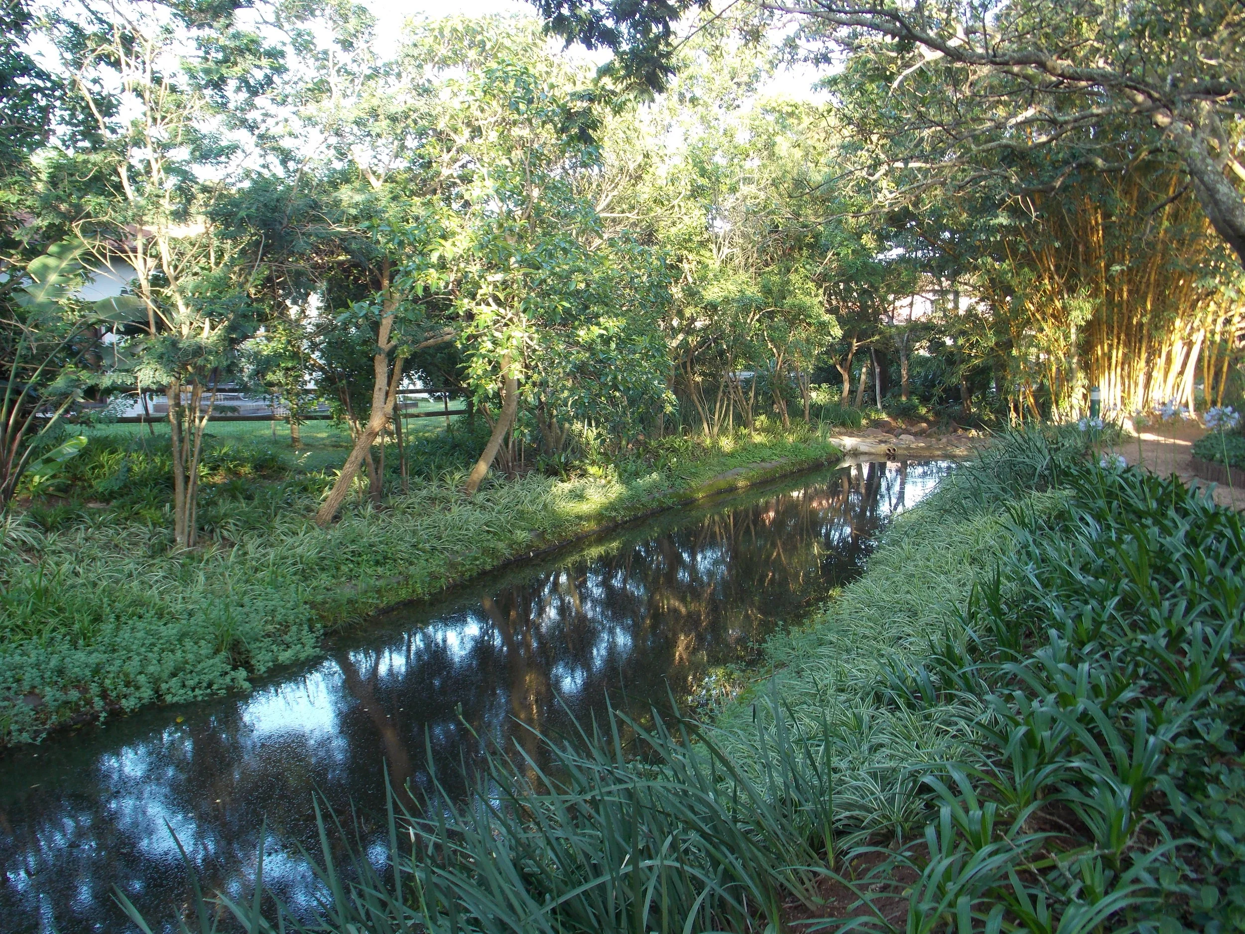 Ballito Gardens — Eco Balance Landscaping Ballito | Garden Services ...