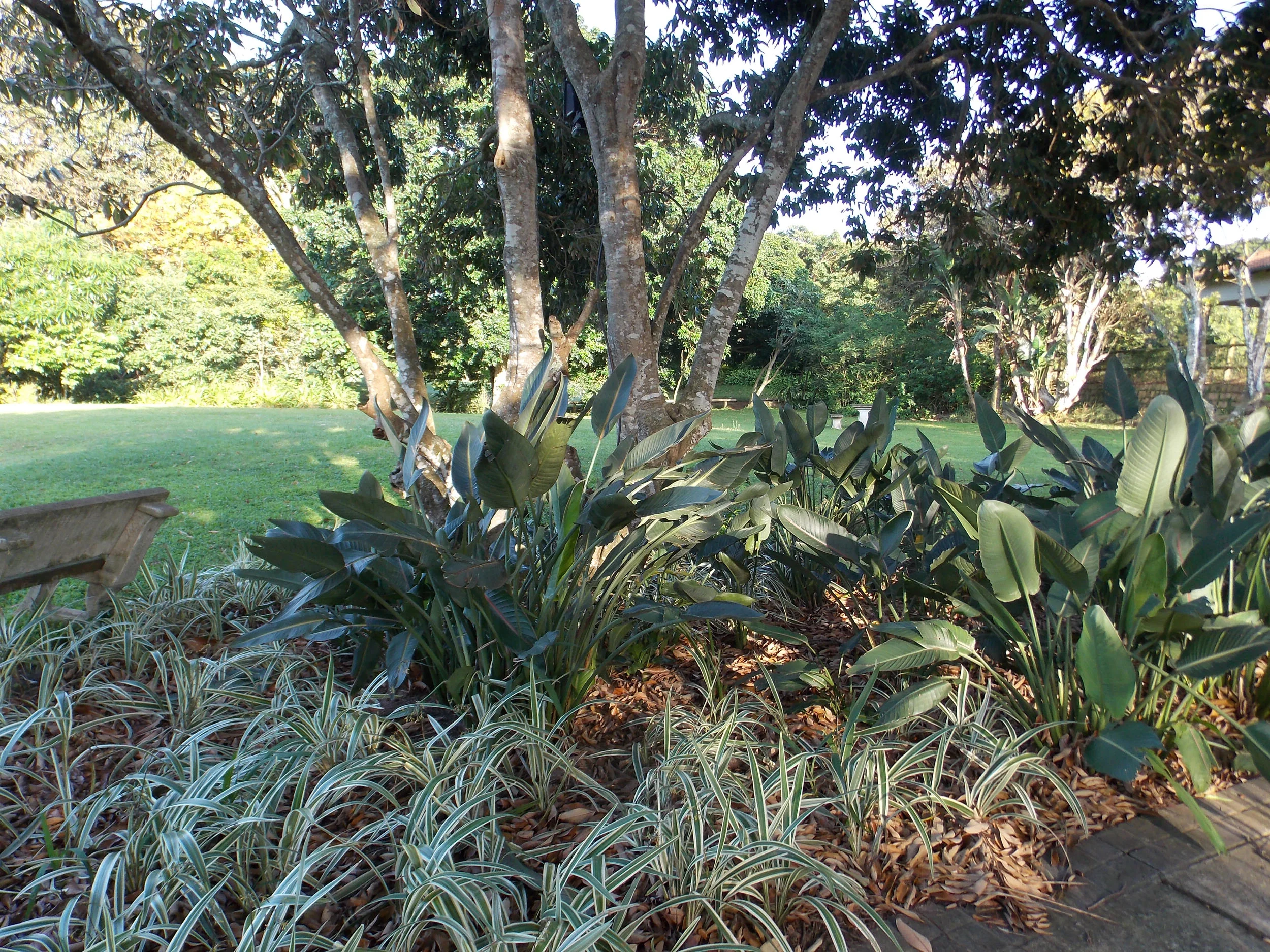 Ballito Gardens — Eco Balance Landscaping Ballito | Garden Services ...