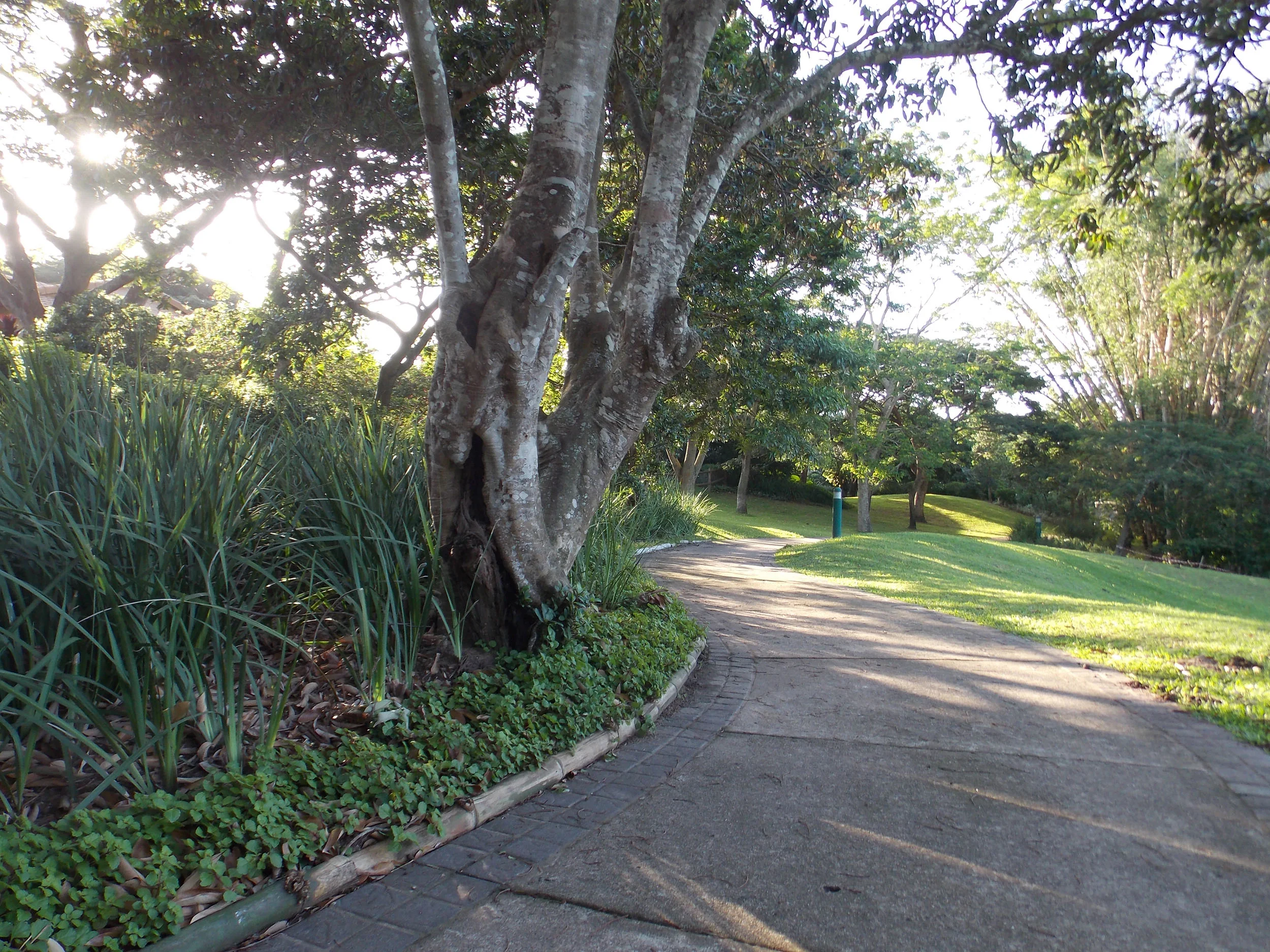 Ballito Gardens — Eco Balance Landscaping Ballito | Garden Services ...