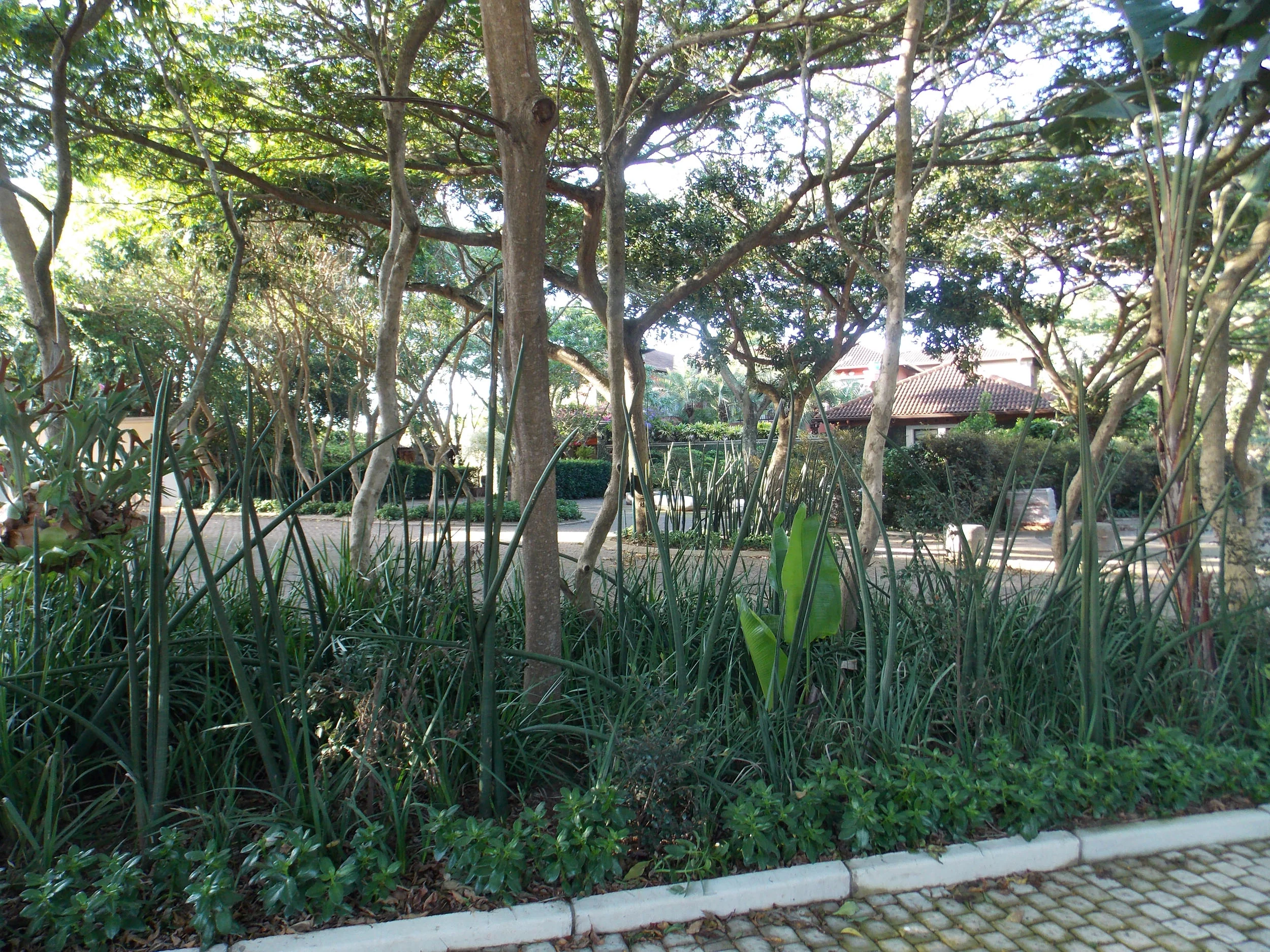 Ballito Gardens — Eco Balance Landscaping Ballito | Garden Services ...