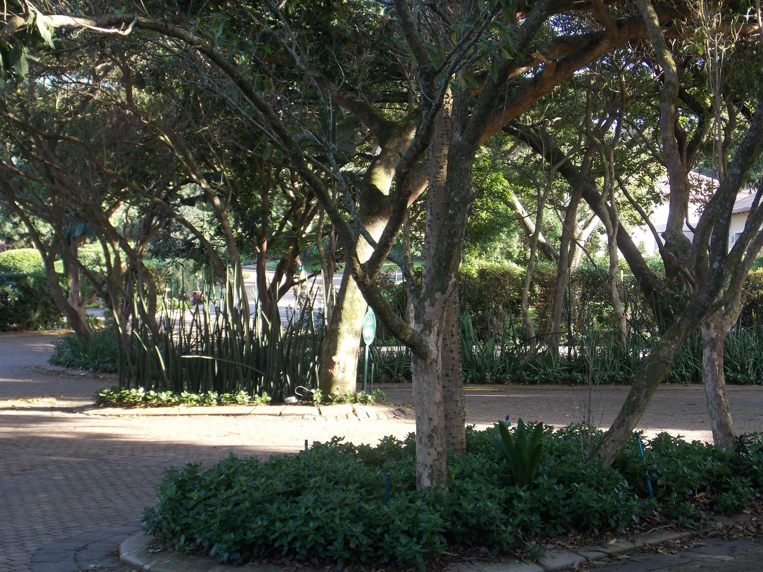 Ballito Gardens — Eco Balance Landscaping Ballito | Garden Services ...