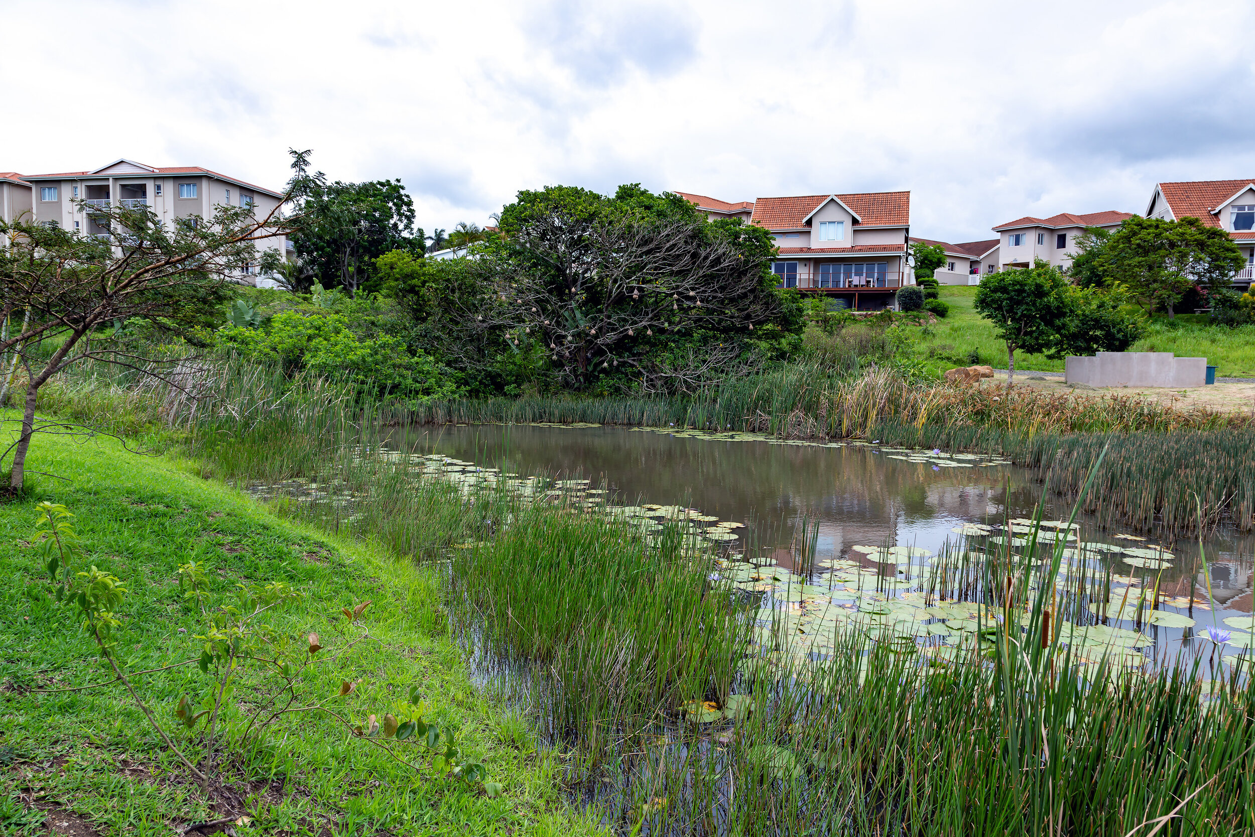 Corporate Landscaping Galleries — Eco Balance Landscaping Ballito ...