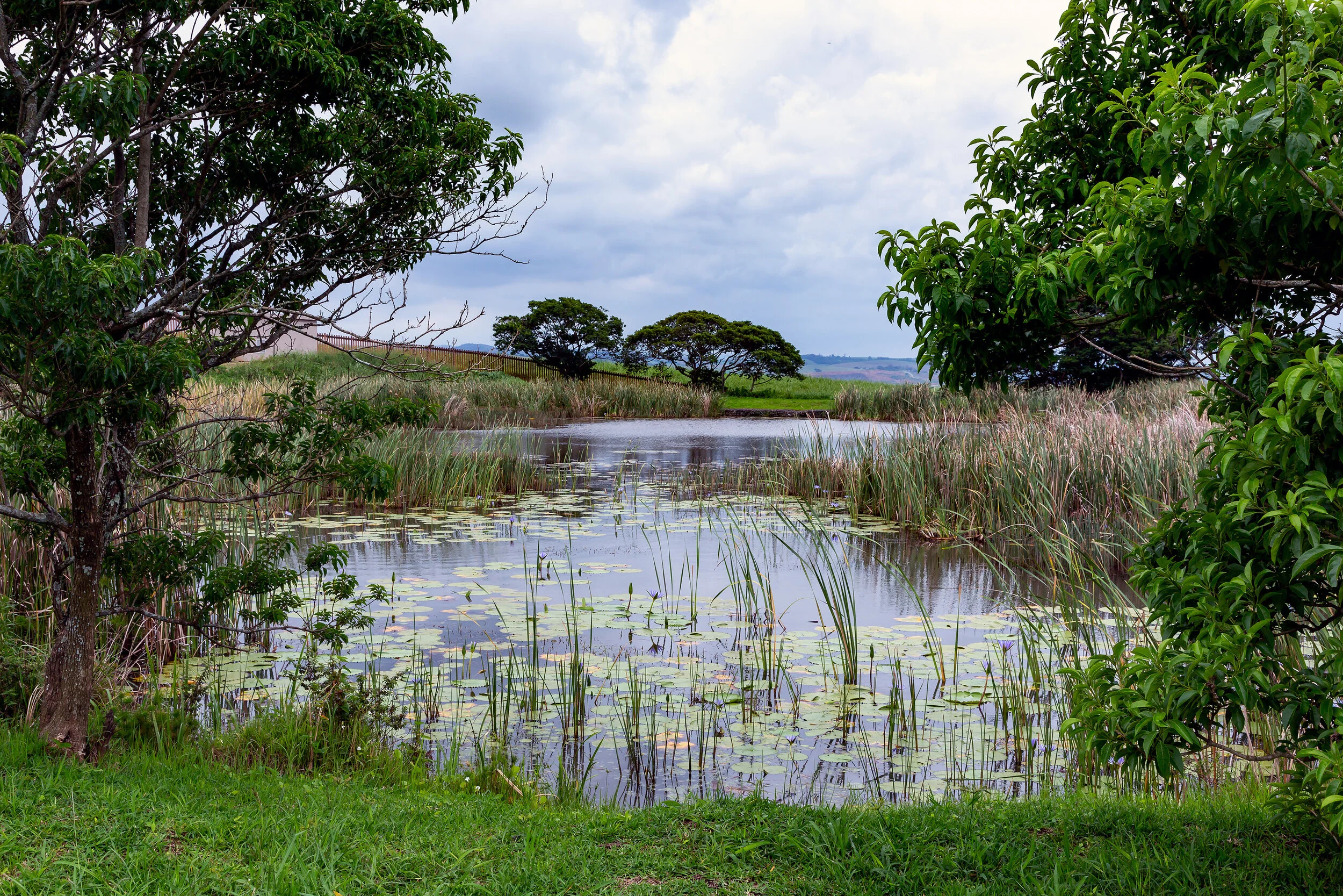 Corporate Landscaping Galleries — Eco Balance Landscaping Ballito ...