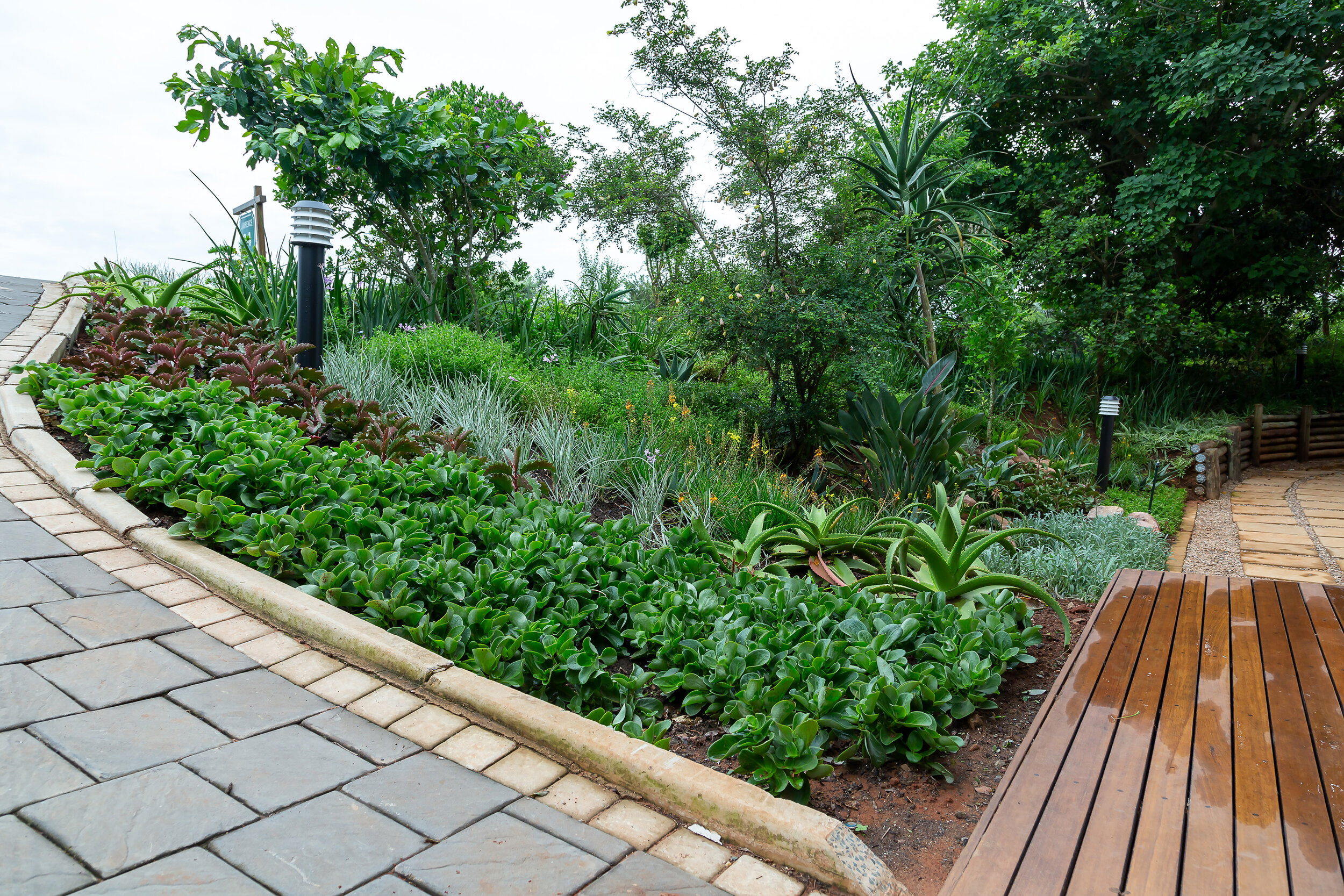 Umvumvu Drive — Eco Balance Landscaping Ballito | Garden Services ...
