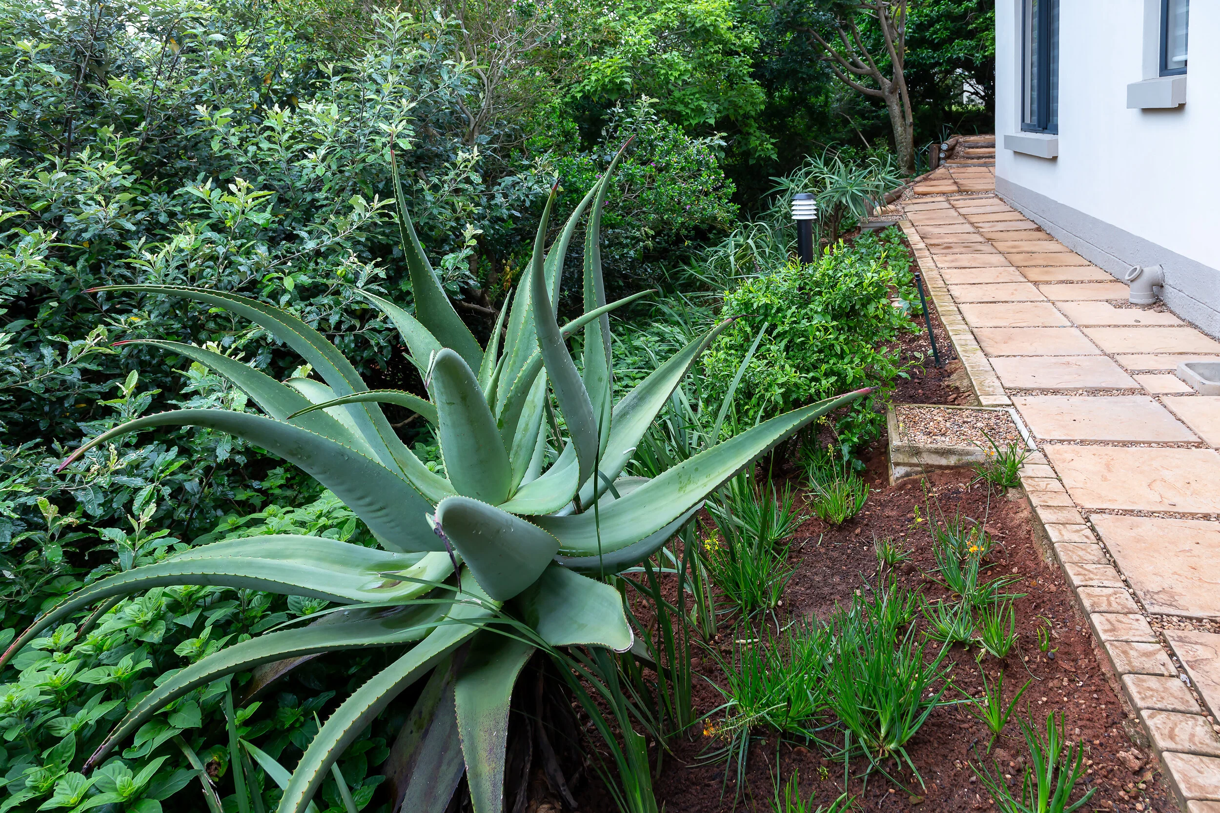 Umvumvu Drive — Eco Balance Landscaping Ballito | Garden Services ...