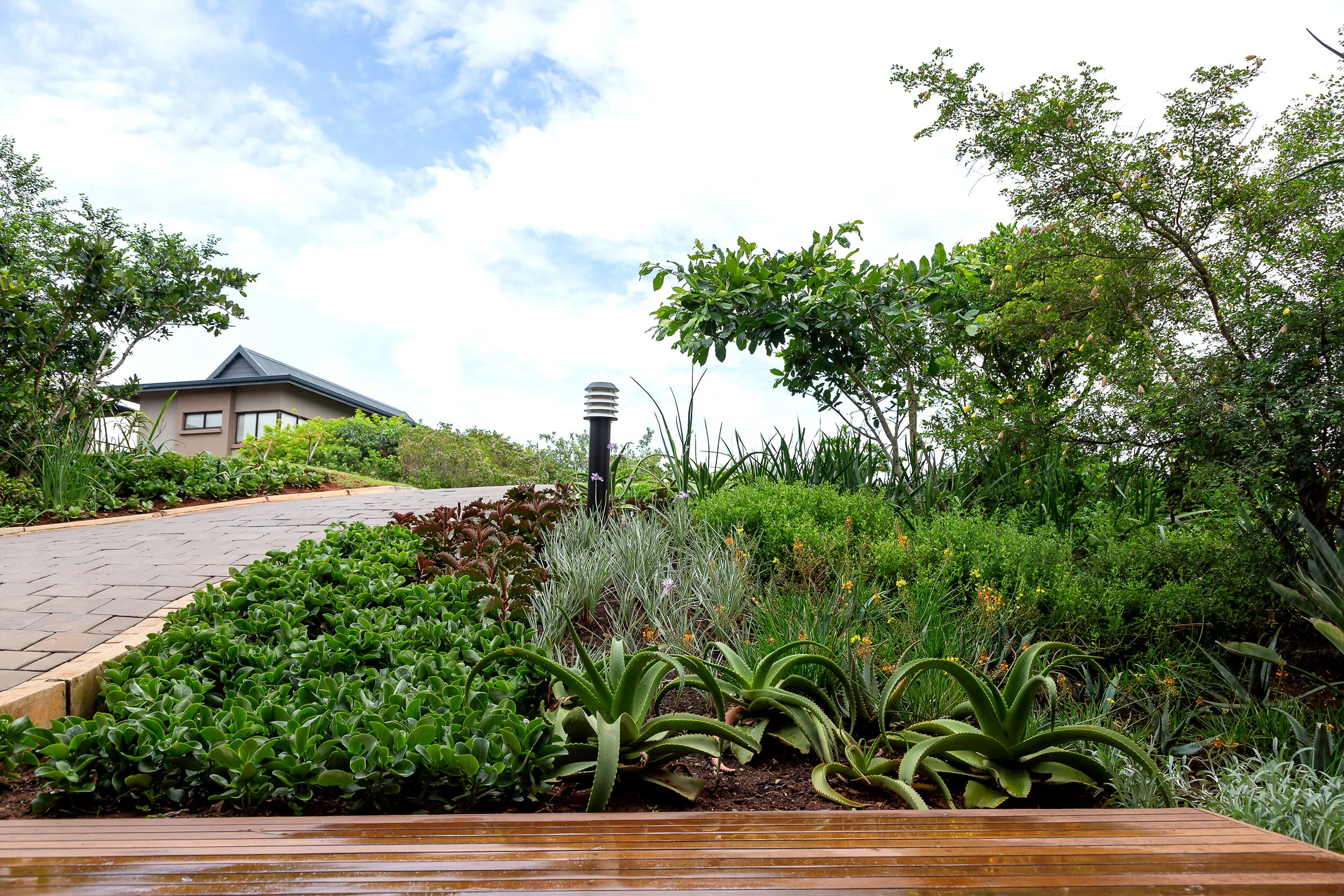 Umvumvu Drive — Eco Balance Landscaping Ballito | Garden Services ...