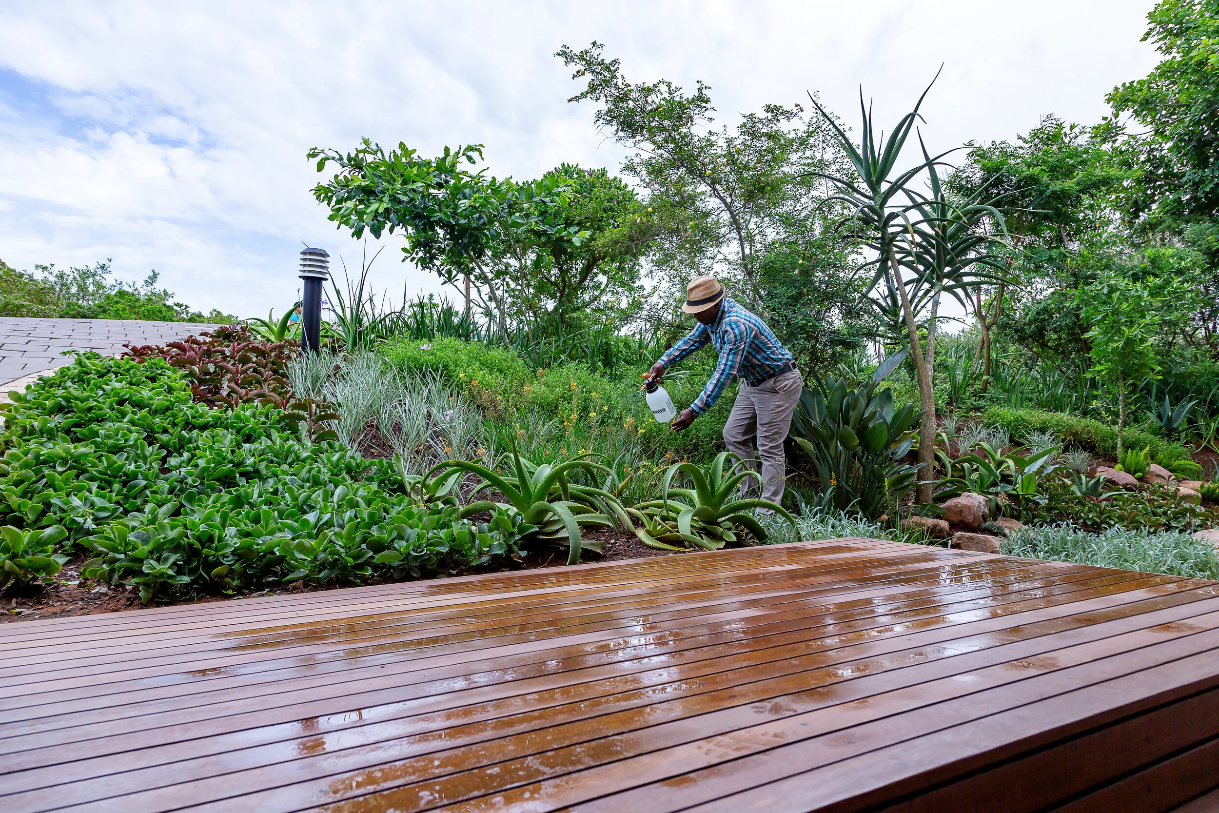 Umvumvu Drive — Eco Balance Landscaping Ballito | Garden Services ...