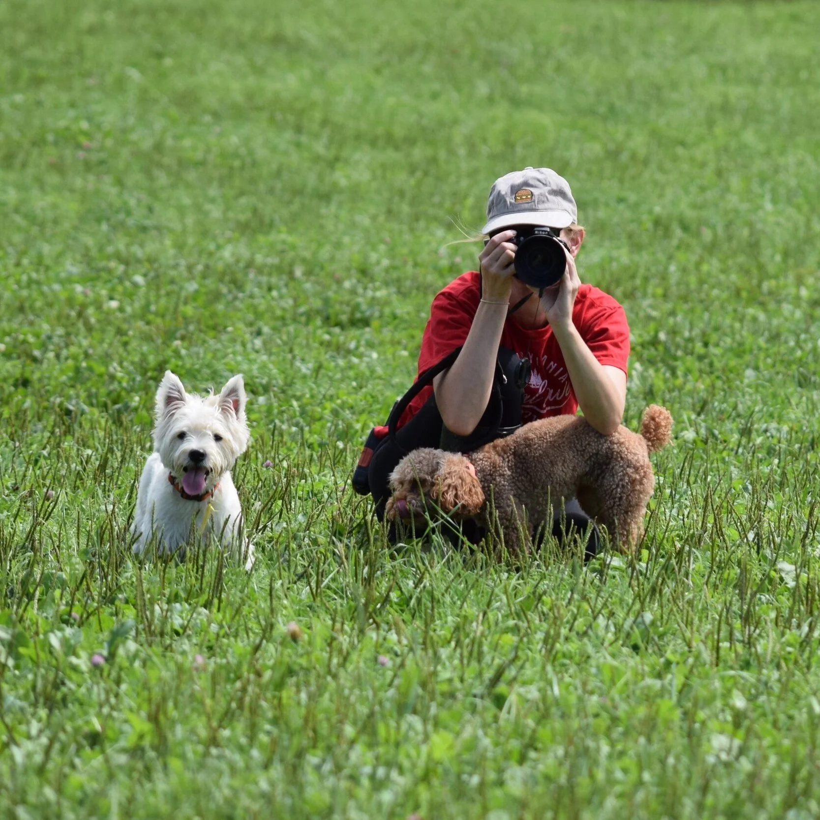 Careers — Eva's Dog Camp