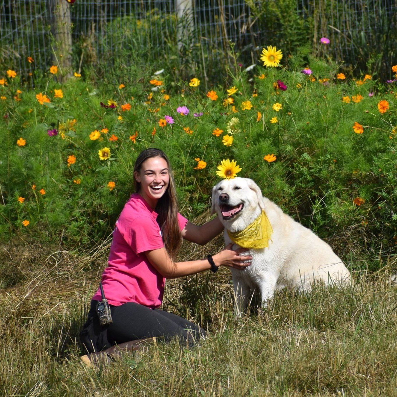 Meet The Team — Eva's Dog Camp