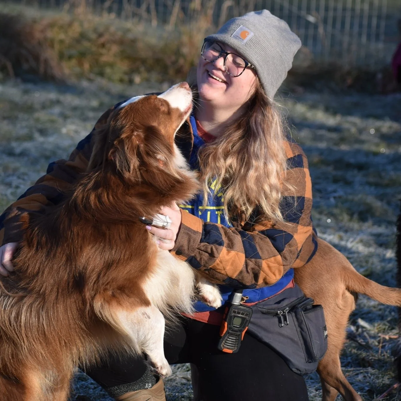 Meet The Team — Eva's Dog Camp
