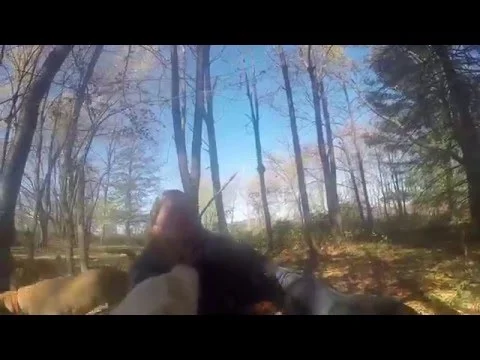 Countryside Dog Camp & Boarding | Dog Kennel Boarding | Doggy Daycare NEPA