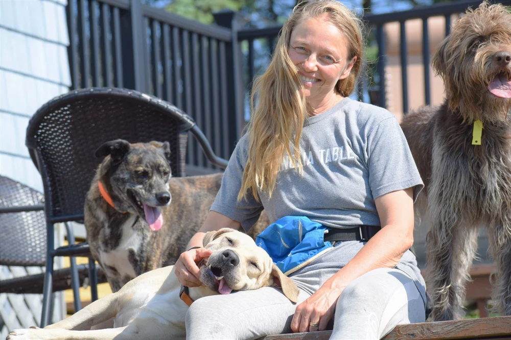 Countryside Dog Camp & Boarding | Dog Kennel Boarding | Doggy Daycare NEPA