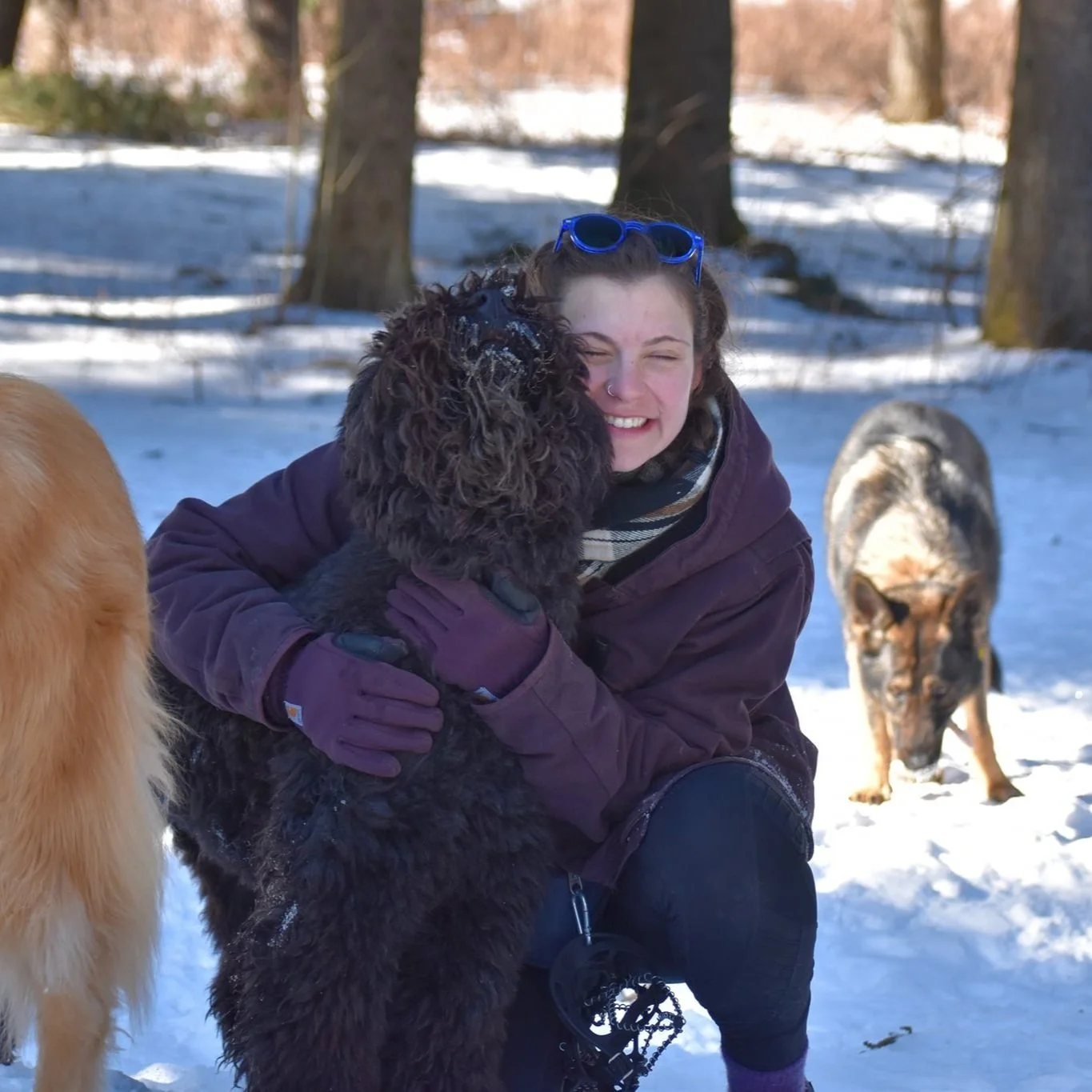 Meet The Team — Eva's Dog Camp