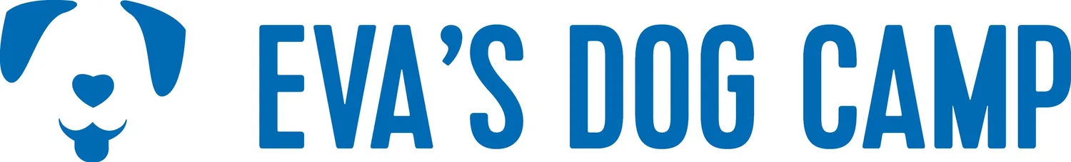 Countryside Dog Camp & Boarding | Dog Kennel Boarding | Doggy Daycare NEPA