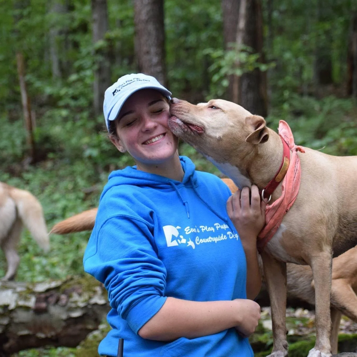 Meet The Team — Eva's Dog Camp