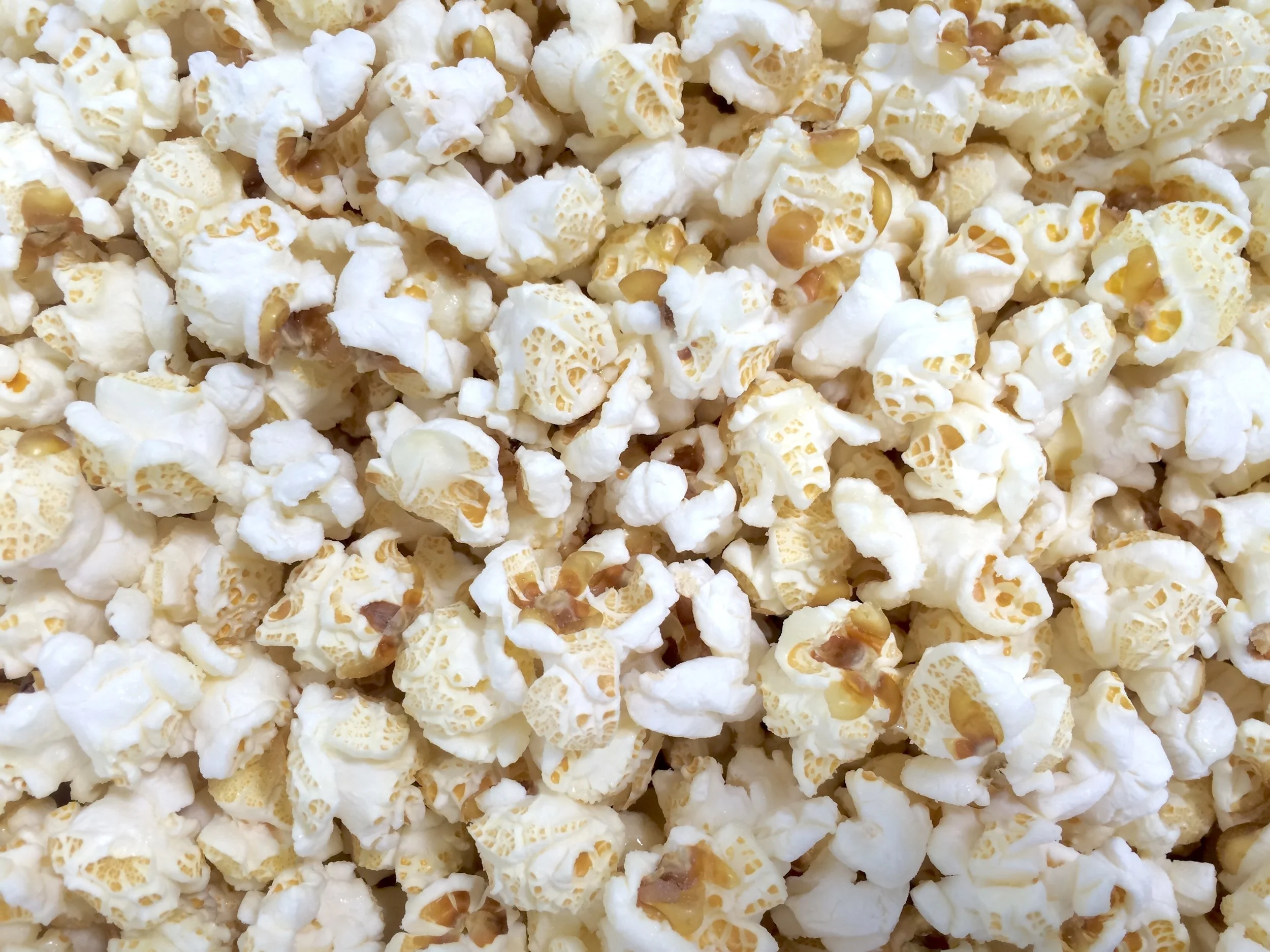 Shop All — Faris Gourmet Popcorn