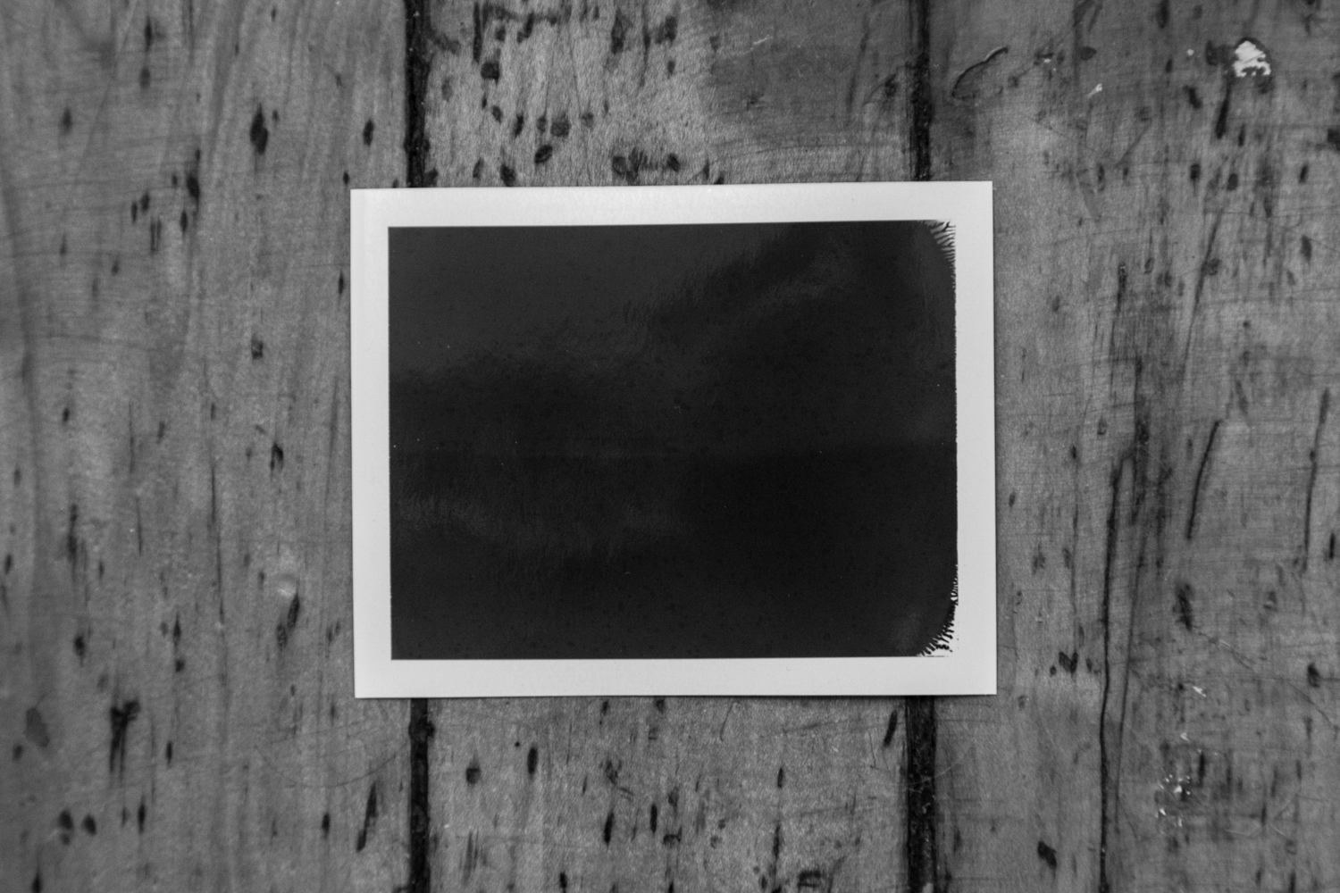 TOMMASO SACCONI — Error / Portraits