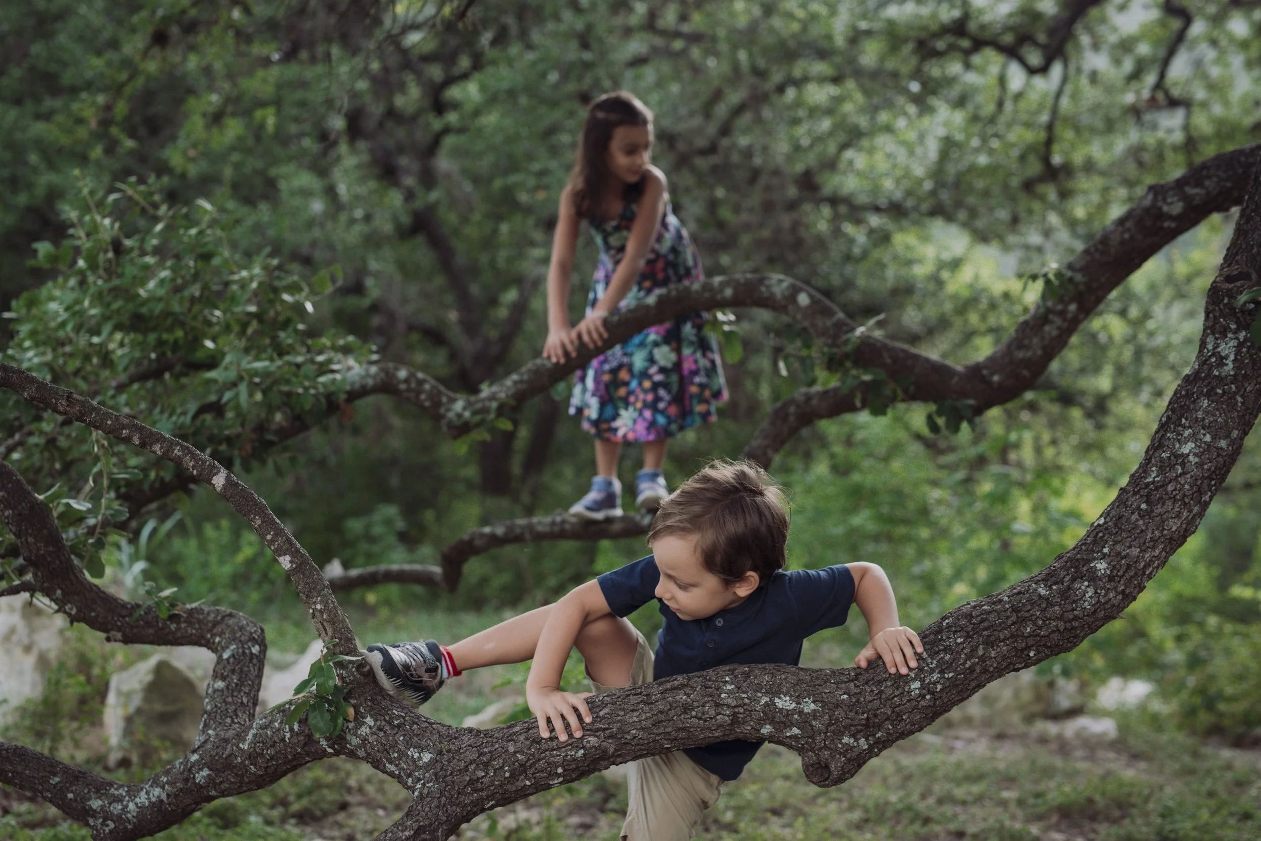 where to shoot family portraits in austin — alison eden
