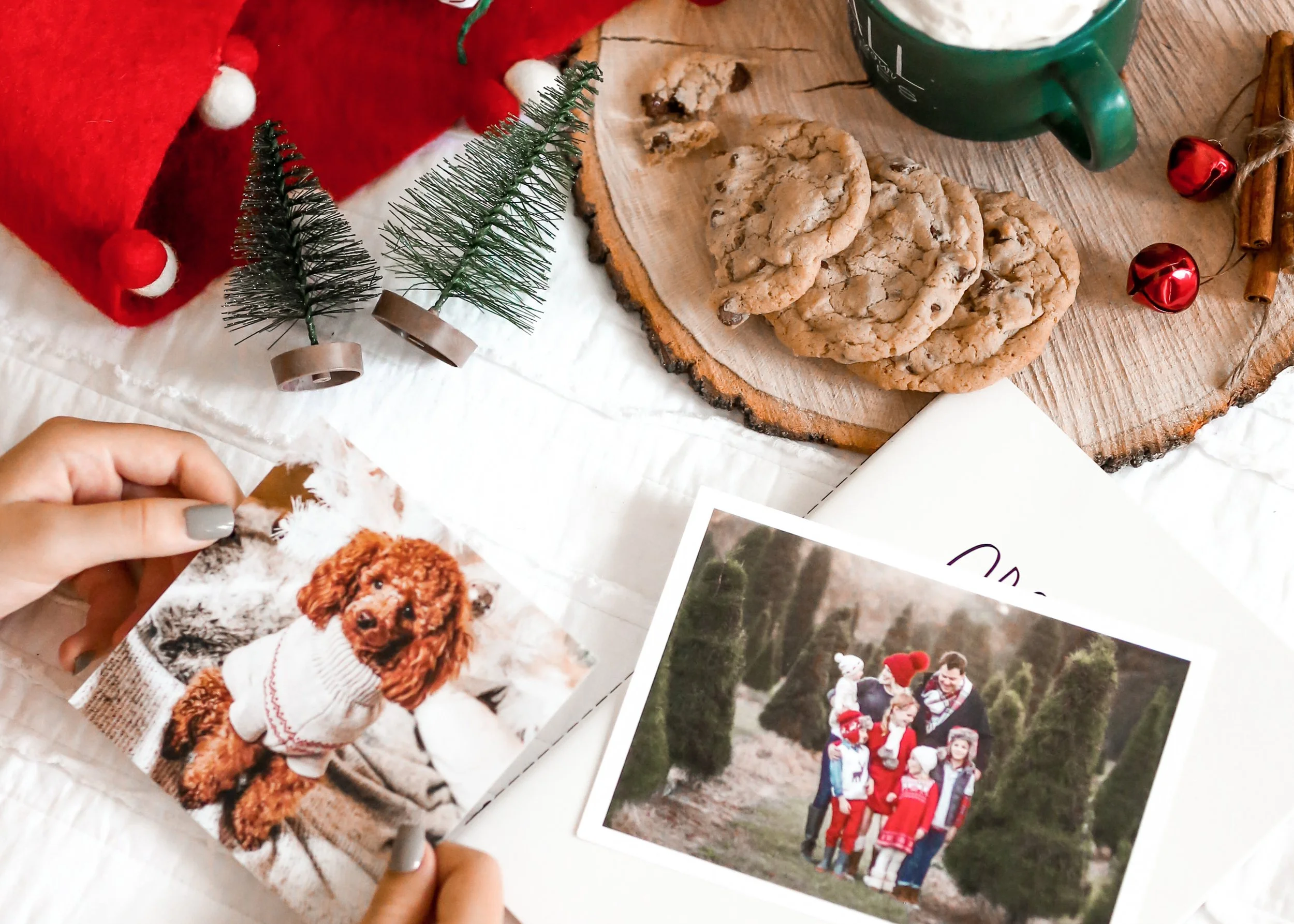 Color Inc Pro Photo Lab Professional Photo Printing & Decor