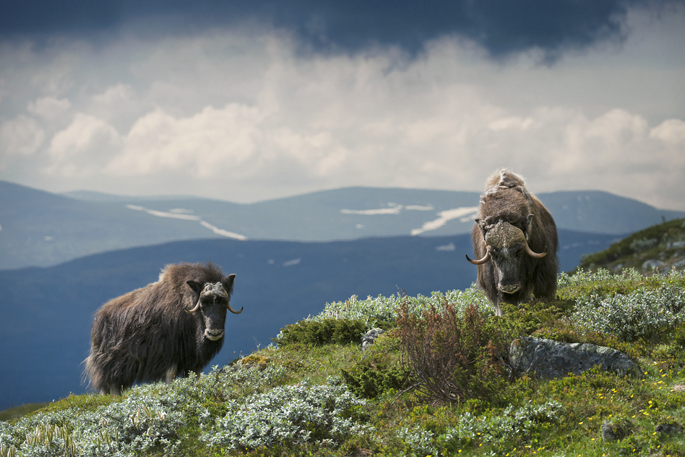 Adventures — SAM HOBSON PHOTOGRAPHY