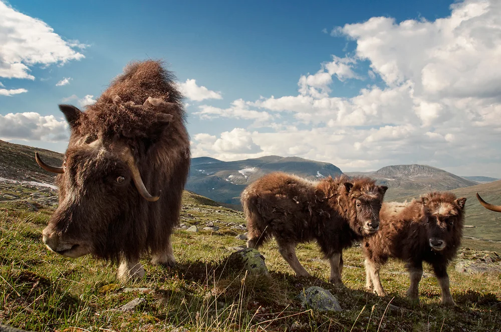 Adventures — SAM HOBSON PHOTOGRAPHY