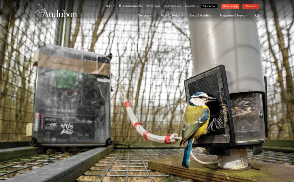 LATEST NEWS — SAM HOBSON PHOTOGRAPHY
