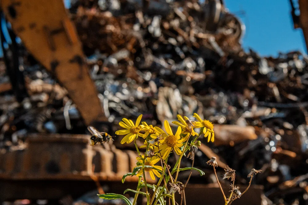 LATEST NEWS — SAM HOBSON PHOTOGRAPHY