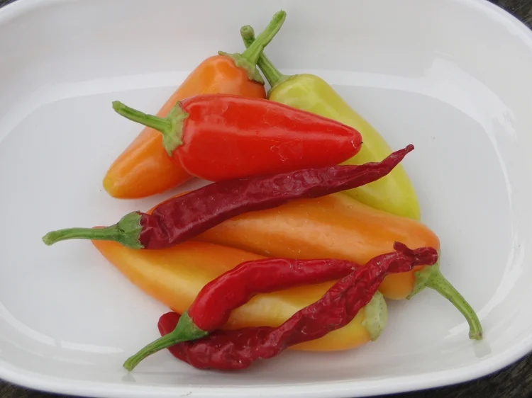 Year-Long Vegetable Planting Guide — Country Flower Farms