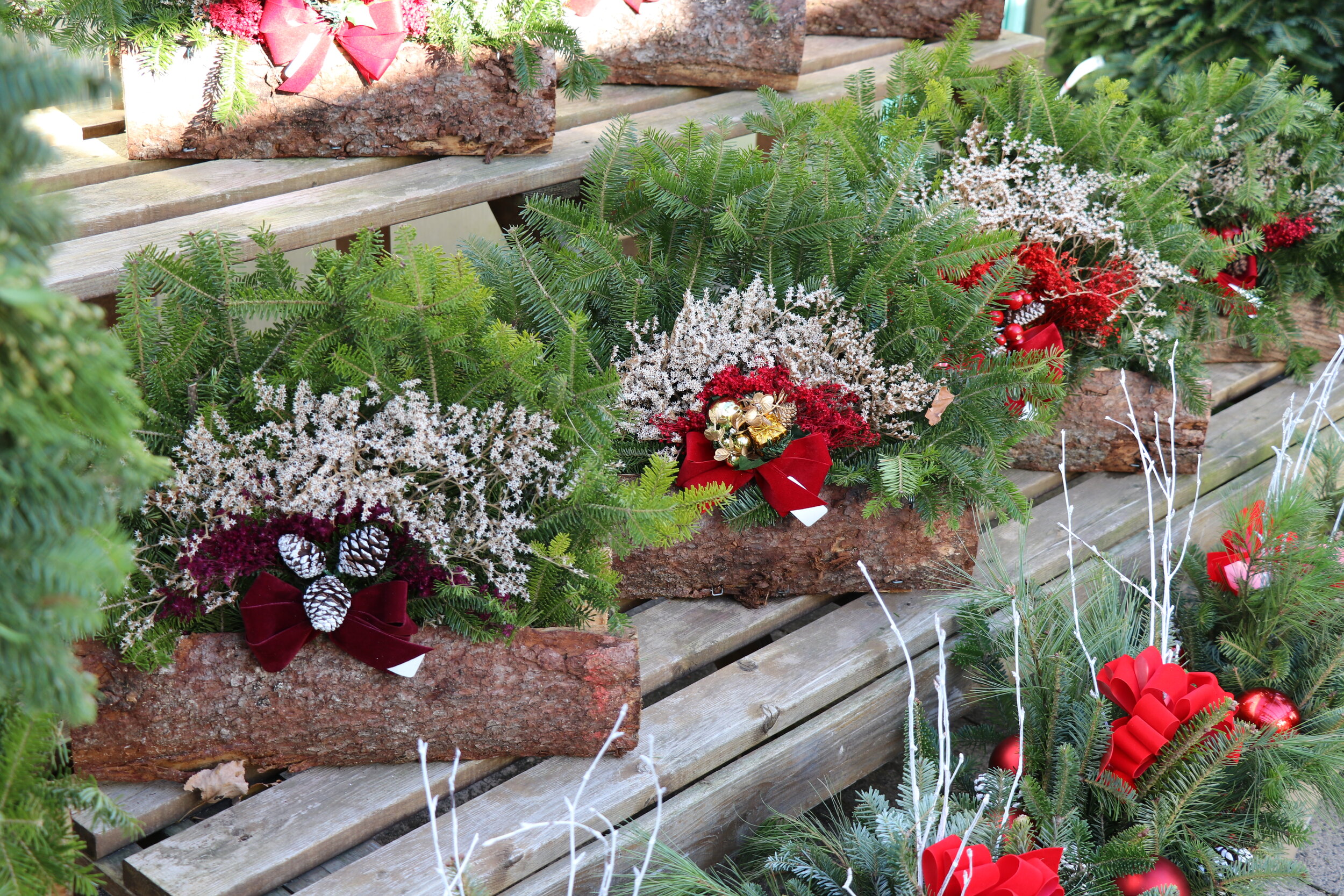 Country Flower Farms - Garden Center