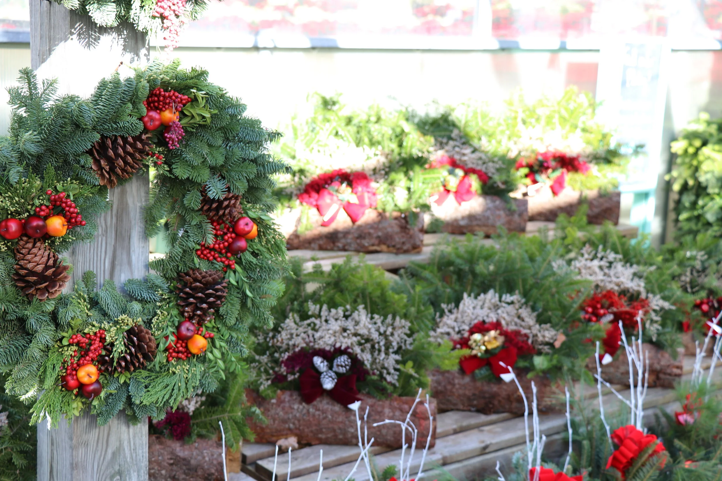 Country Flower Farms - Garden Center