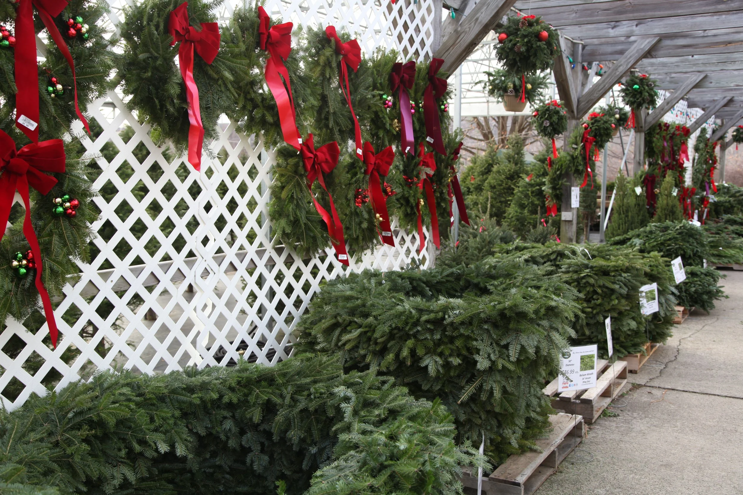 Country Flower Farms - Garden Center