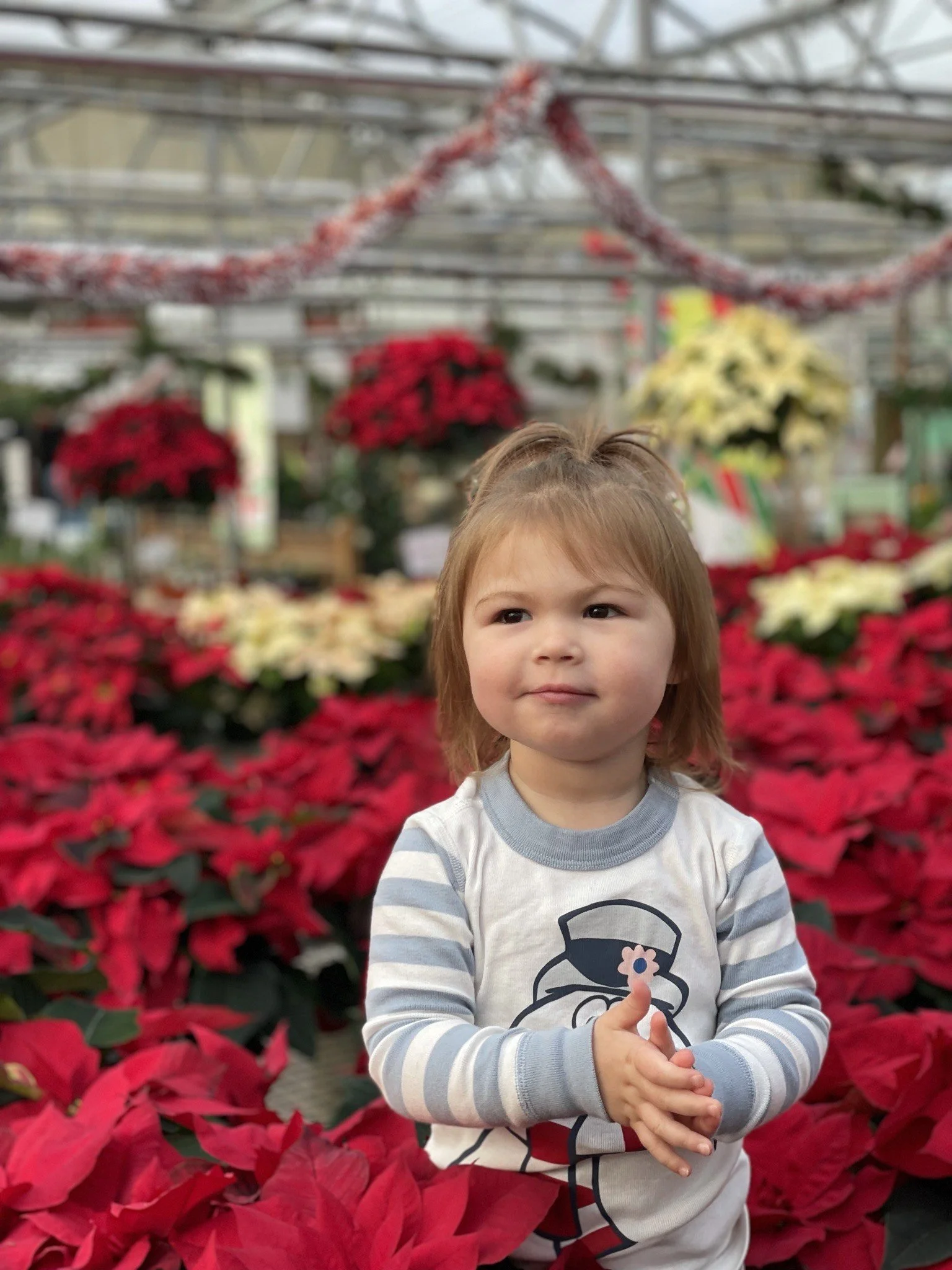 Country Flower Farms - Garden Center