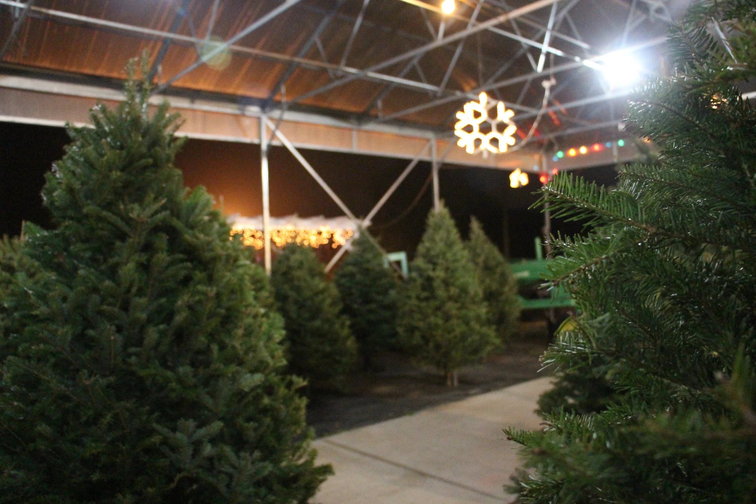 Country Flower Farms - Garden Center