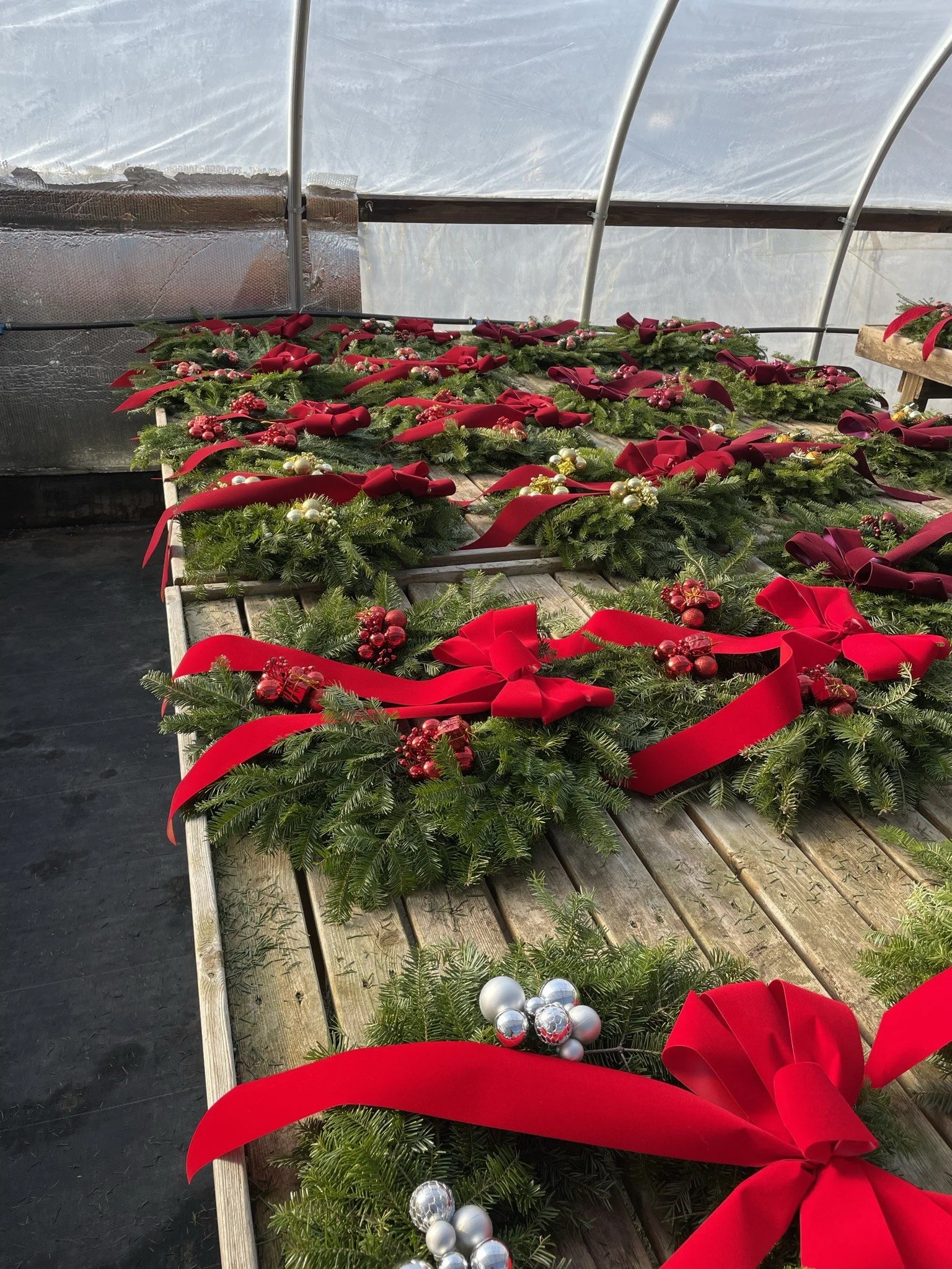Country Flower Farms - Garden Center