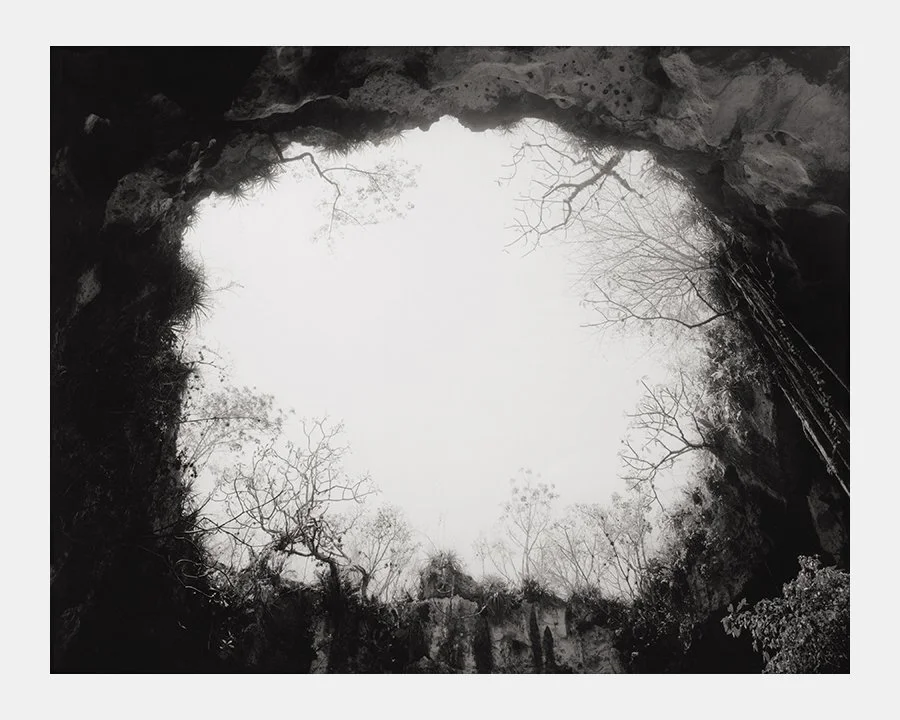 PhotoAlliance