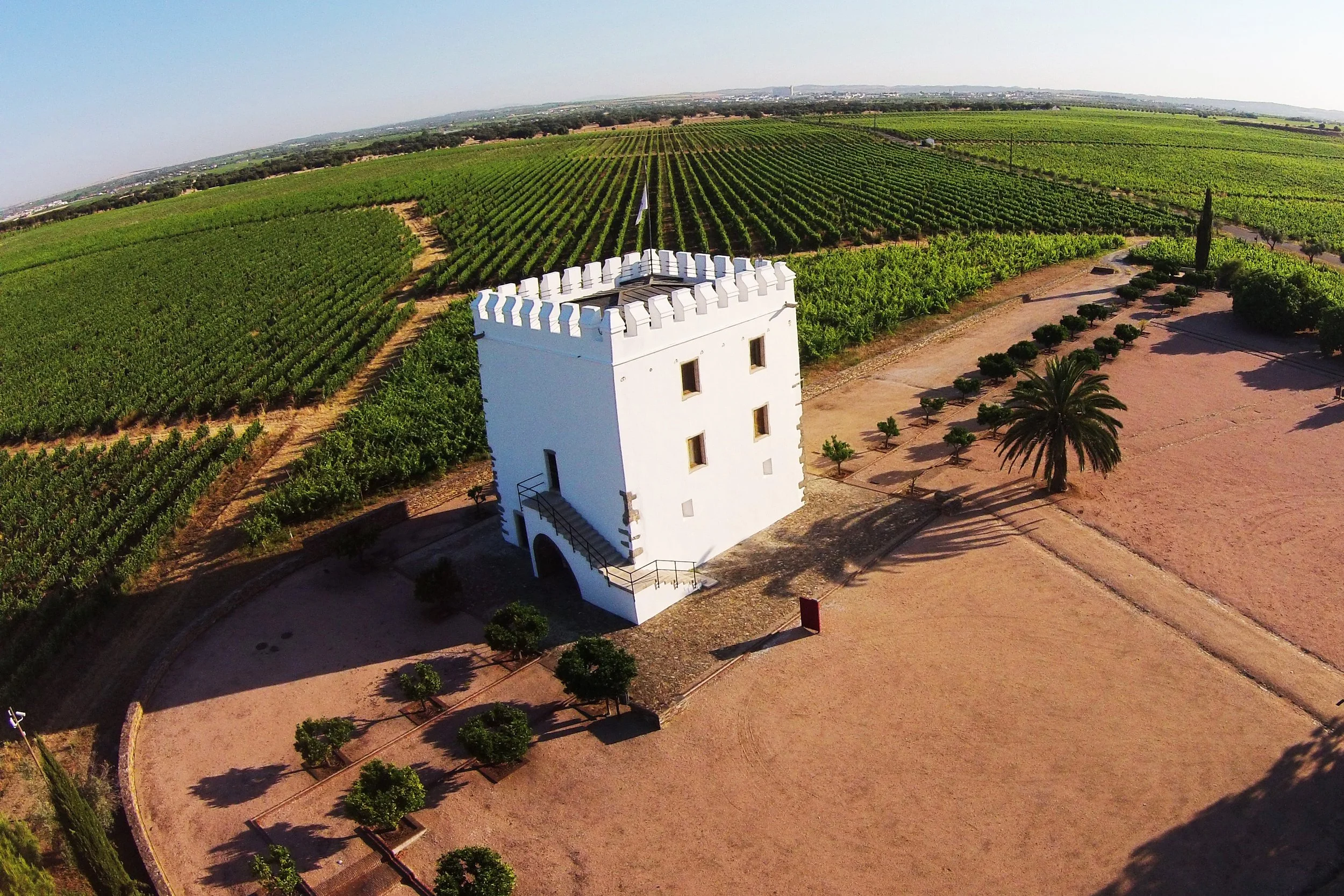 Peta Mathias Culinary Adventure – Portugal — Peta Mathias