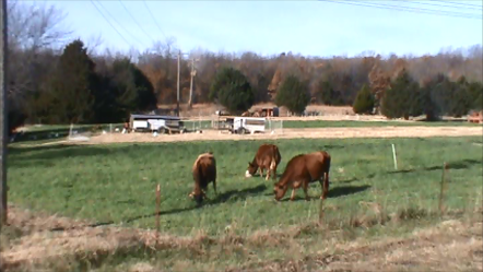 Cedar Farm Photos — Cedar Farm: BCS Tractors w/Tiller