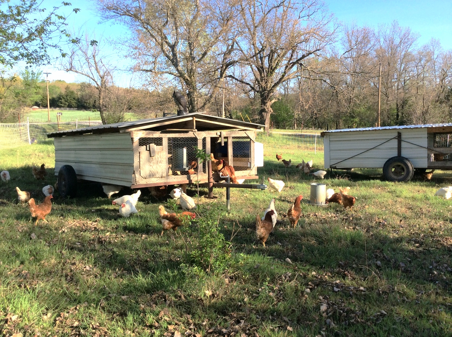 Cedar Farm Photos — Cedar Farm: BCS Tractors w/Tiller