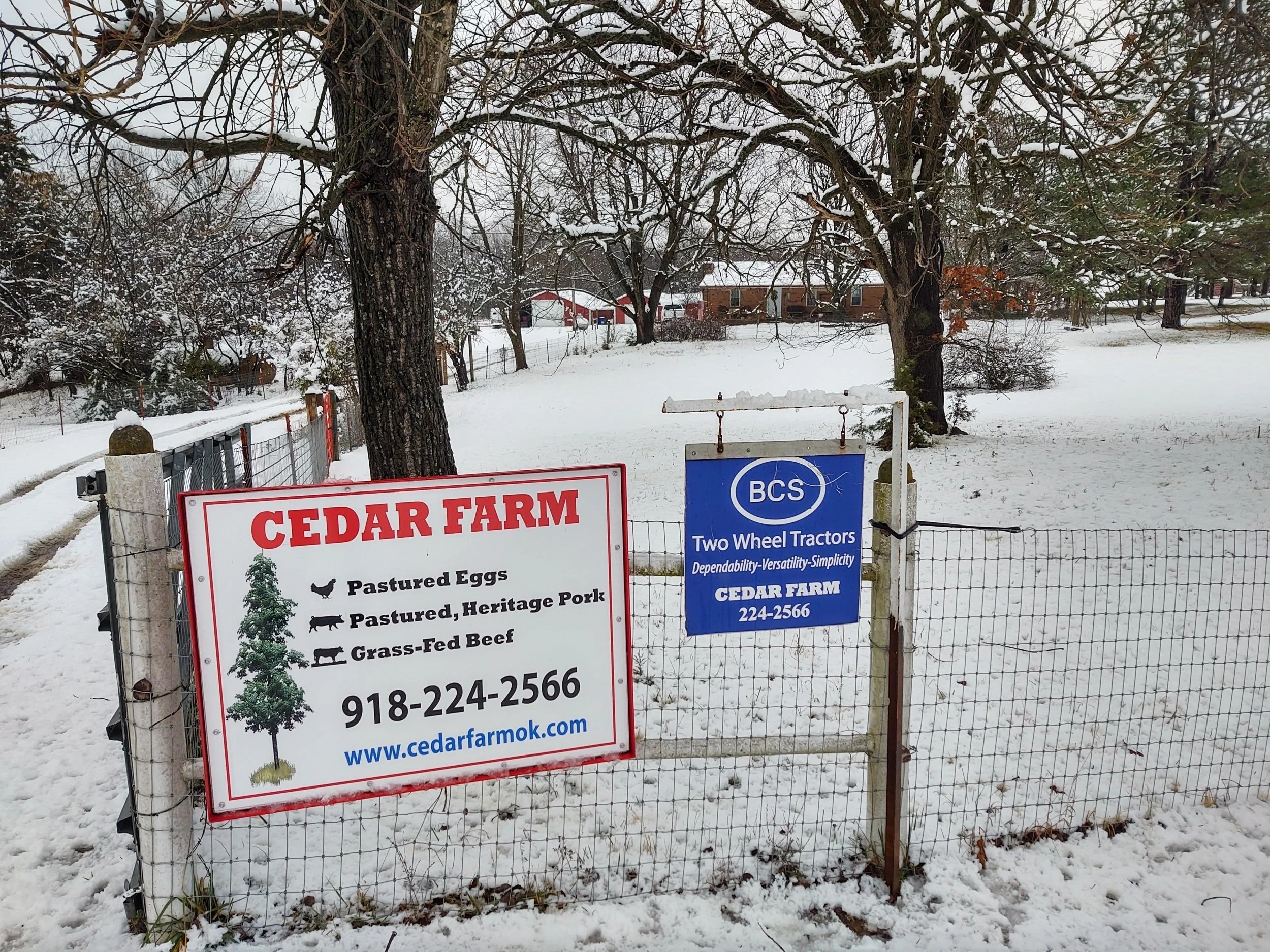 Cedar Farm: BCS Tractors w/Tiller