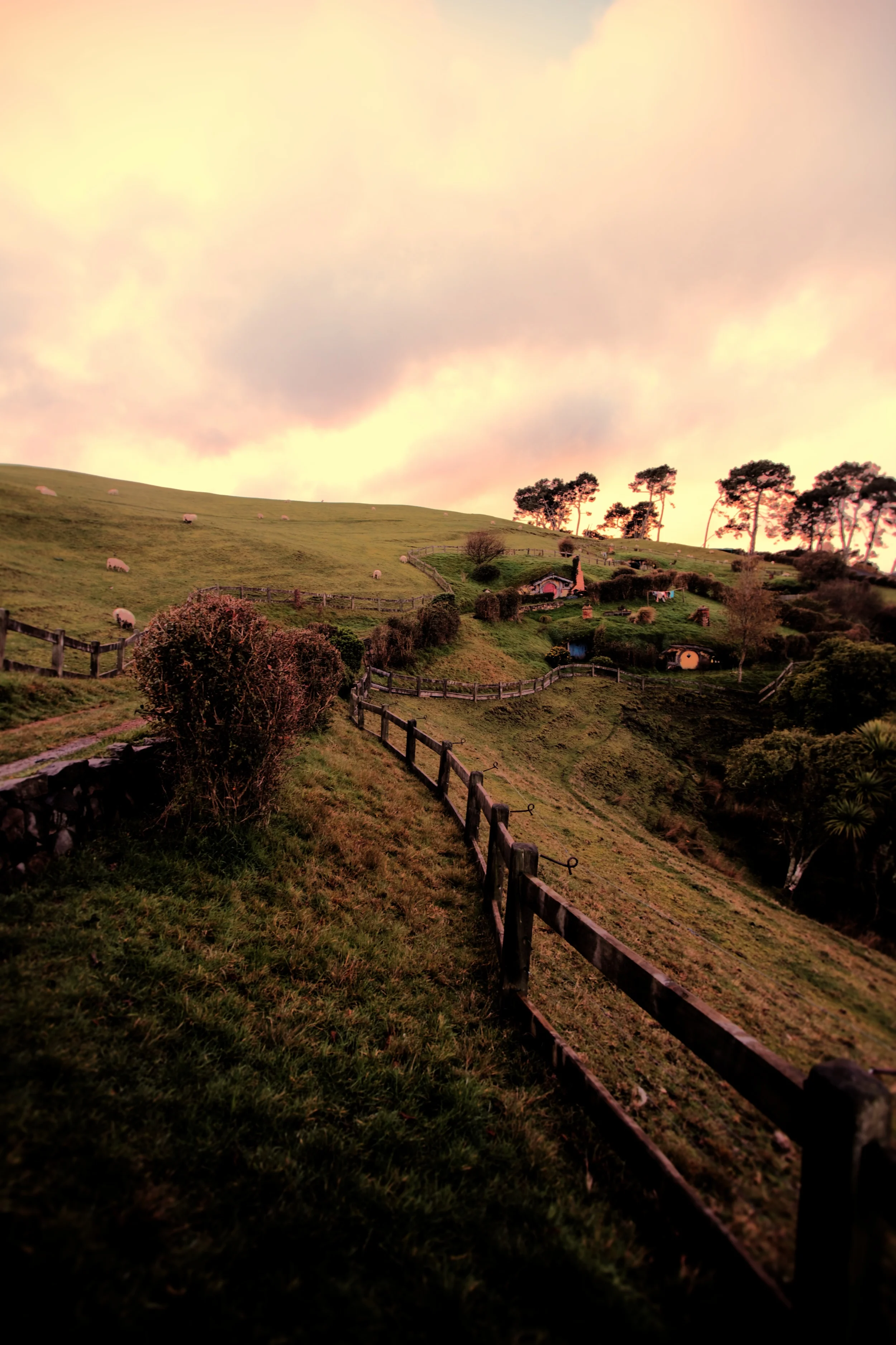 North Island, New Zealand — Type A Trips