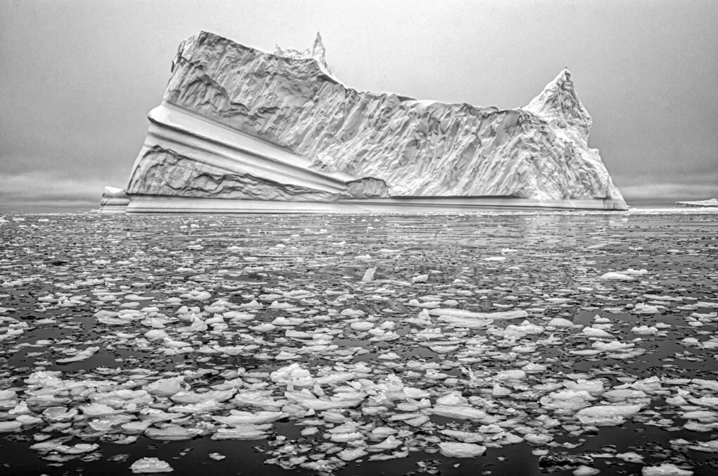 Heidi Nunnally Photography