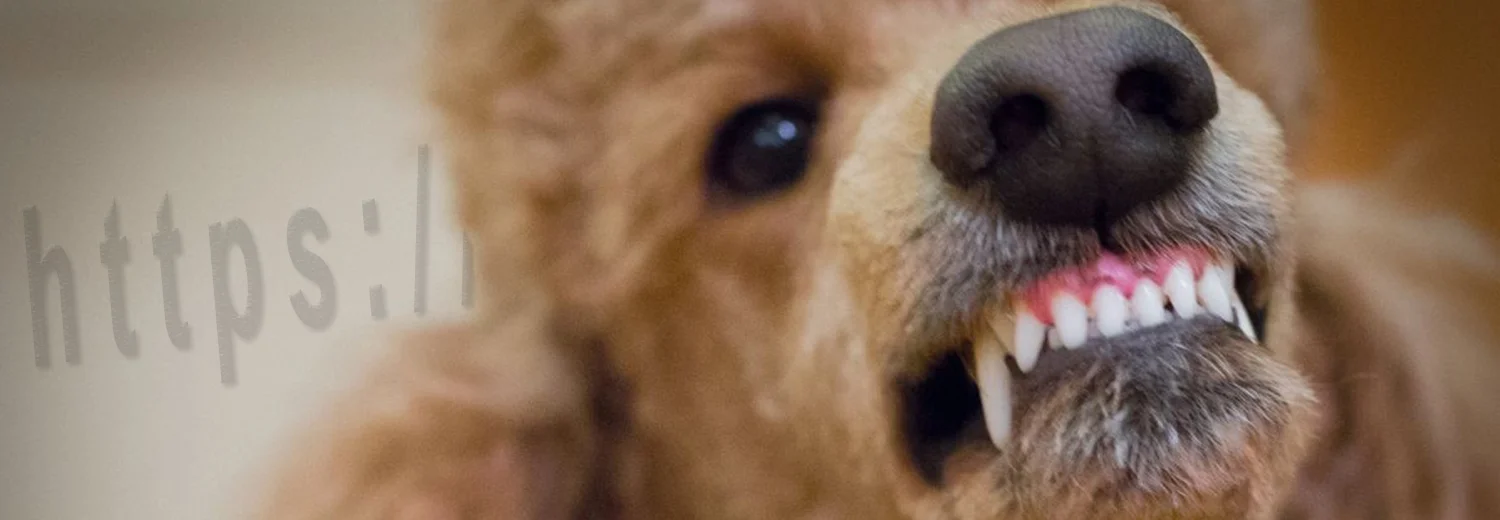 Security Alert: POODLE Attacks SSL3 — LifewithTech