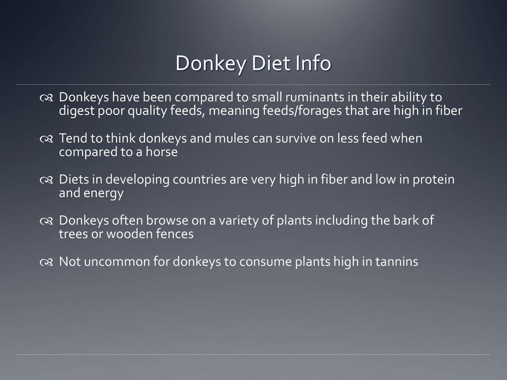 Donkey Nutrition — American Mule Association
