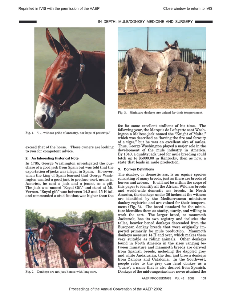 Anatomy Differences — American Mule Association
