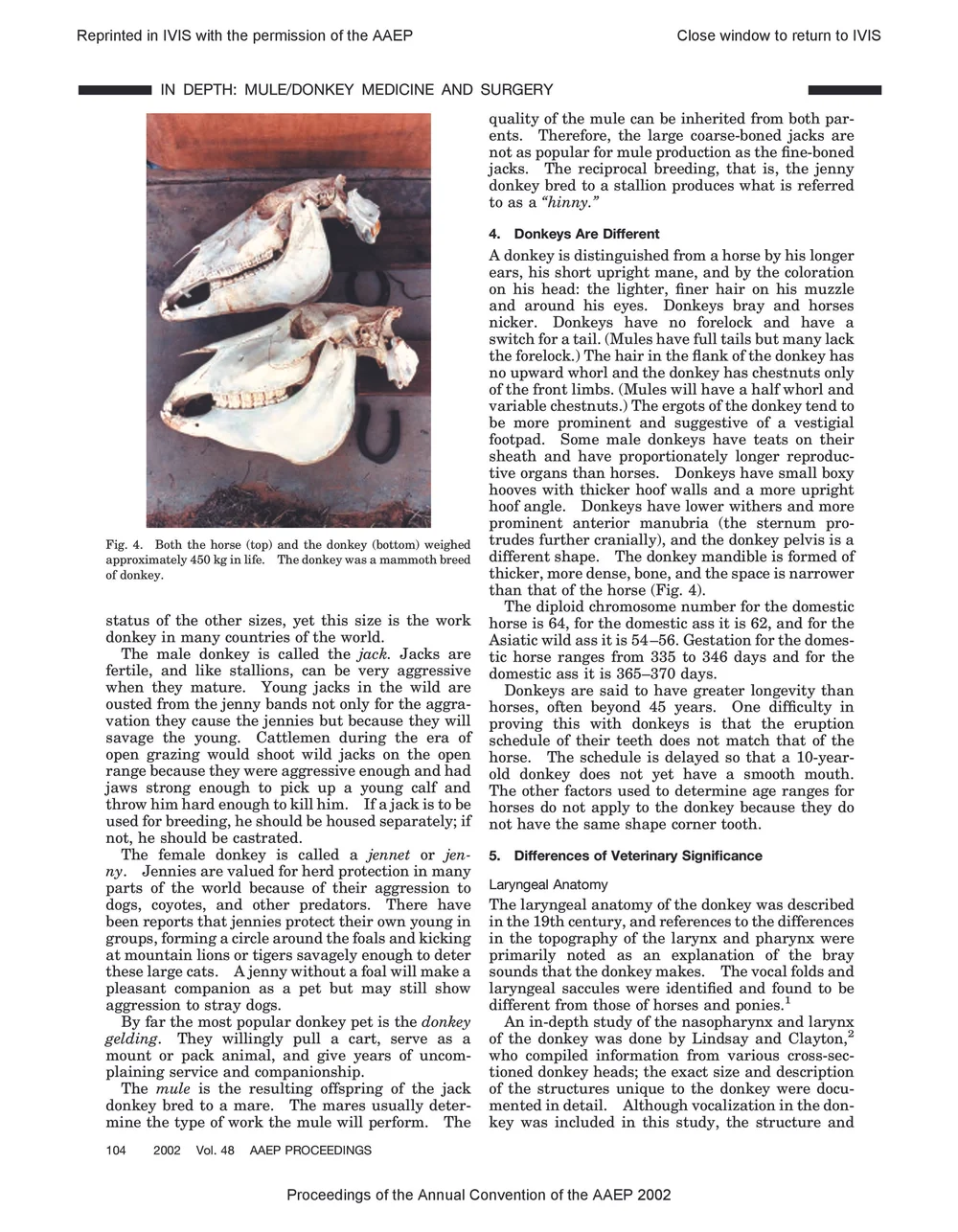 Anatomy Differences — American Mule Association