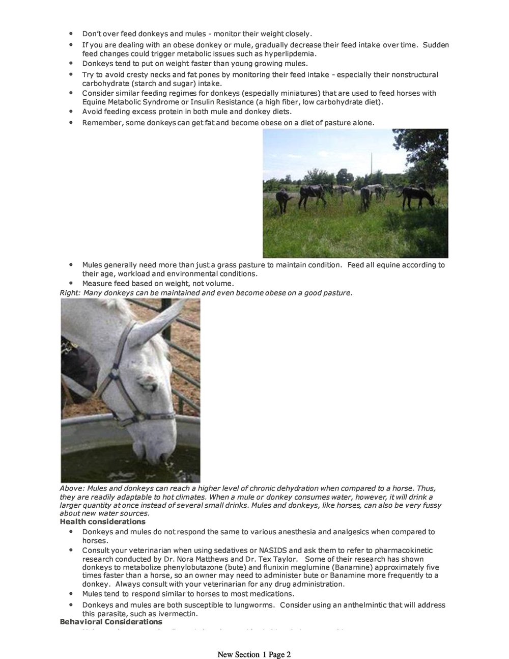 Did You Know — American Mule Association