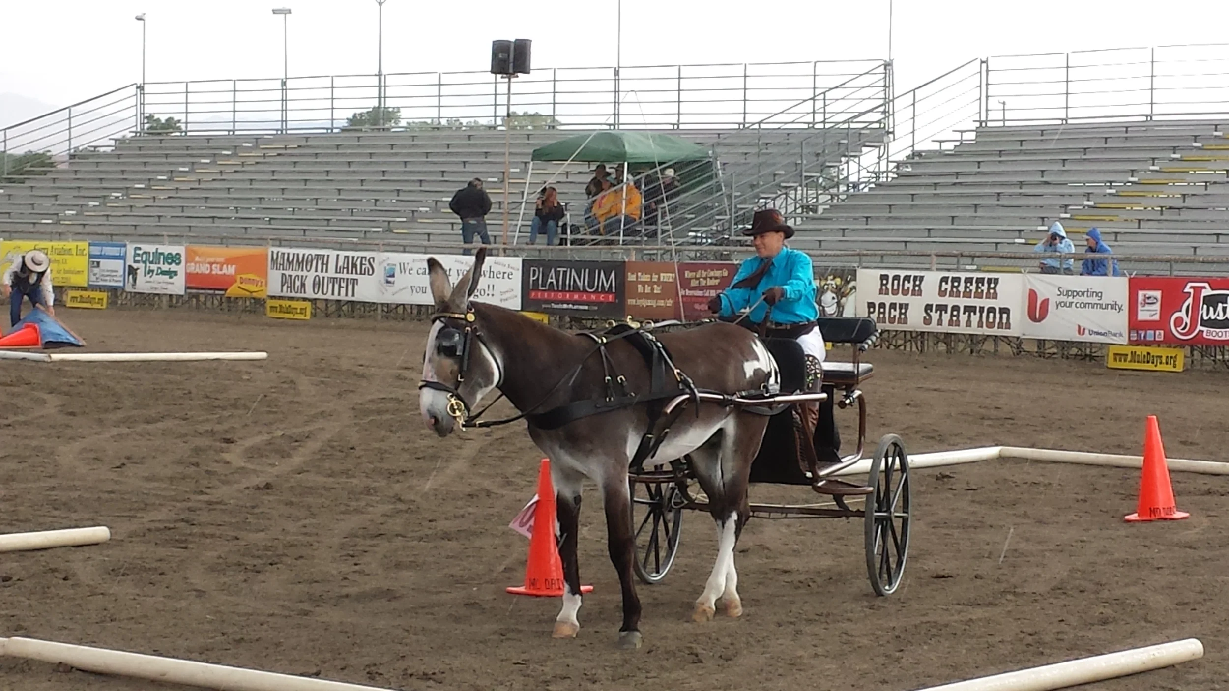 Bishop Mule Days 2014 — American Mule Association